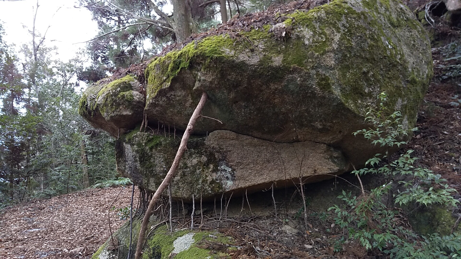 白石観音様横の岩にある謎のつっかえ棒 ... / yaboo！さんのモーメント | YAMAP / ヤマップ