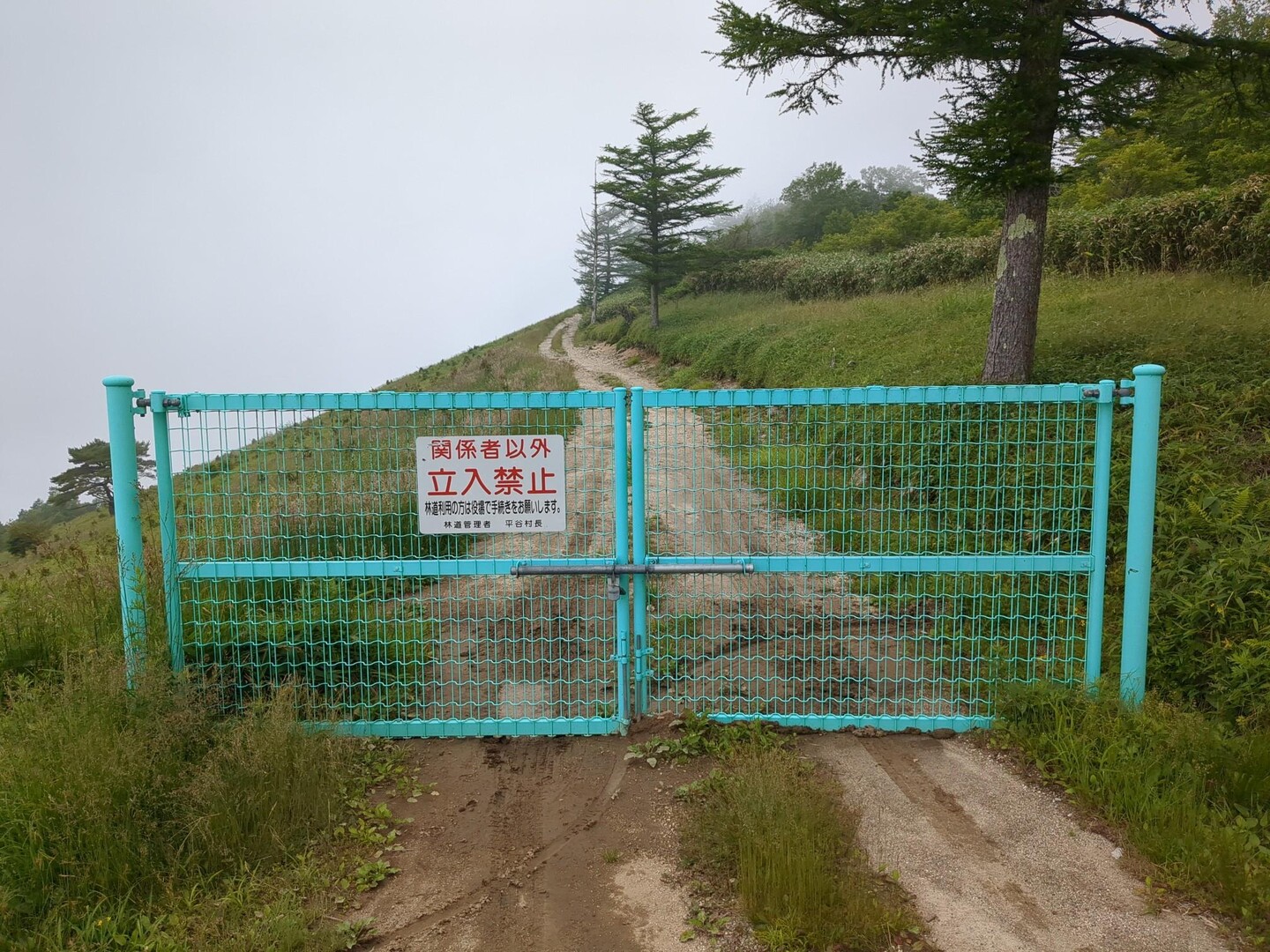 いししさんの投稿したフィールドメモ | YAMAP / ヤマップ