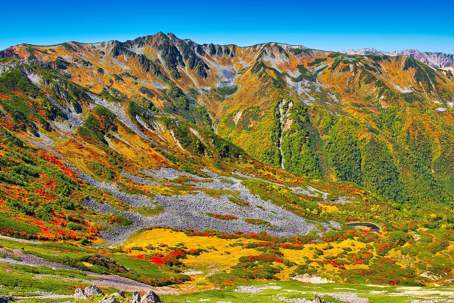 【10月「山の衣替え」｜オリジナル202... / YAMAP STOREさんのモーメント | YAMAP / ヤマップ