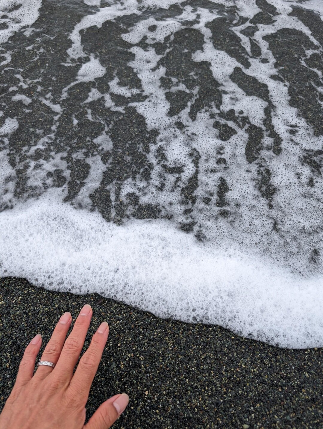 Sea(大磯) to 大山-240616 / わきっちさんの大山の活動データ | YAMAP / ヤマップ