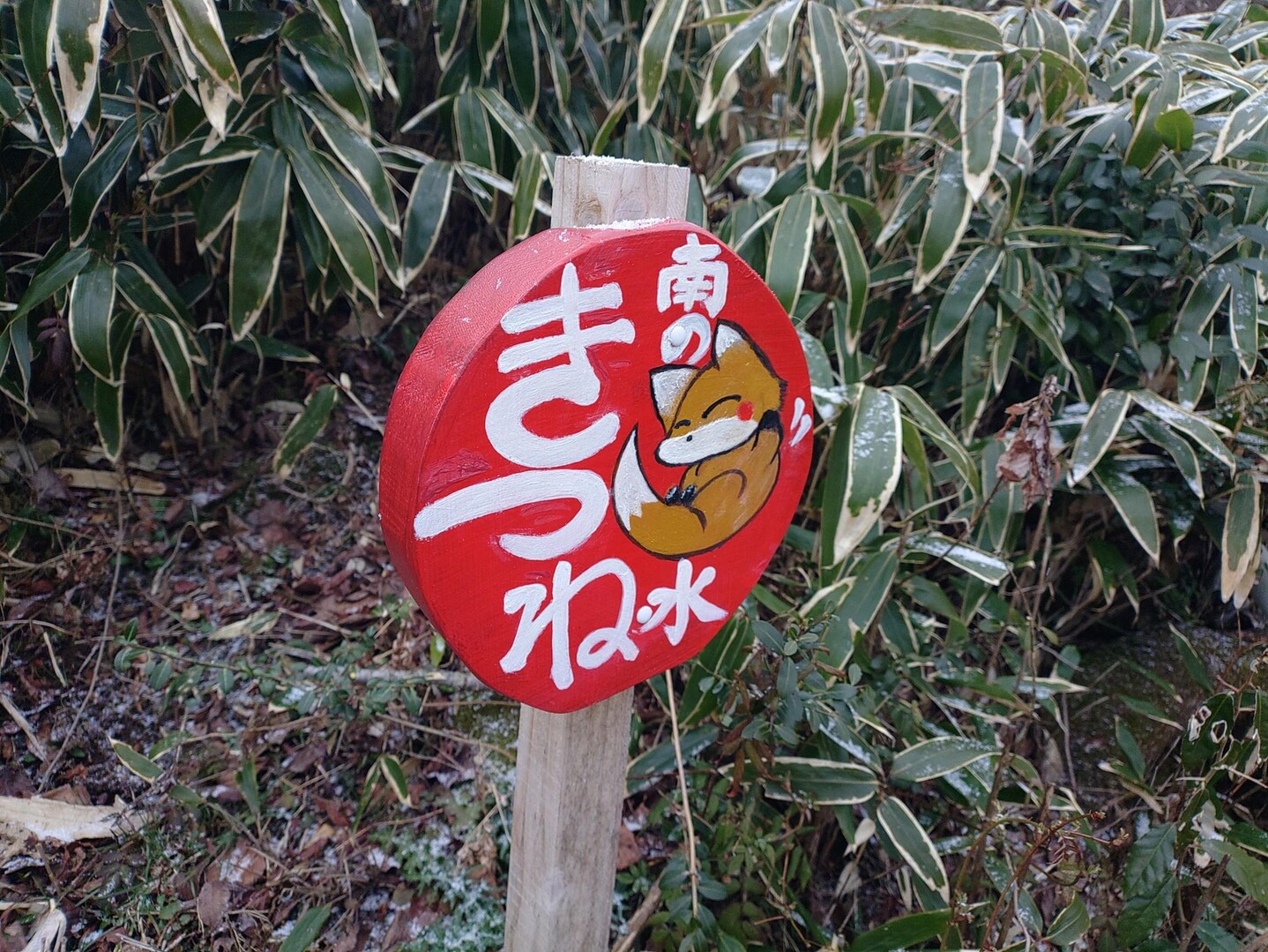 初の太田ルート😌 / りょう1970さんの福智山・尺岳・雲取山の活動データ | YAMAP / ヤマップ