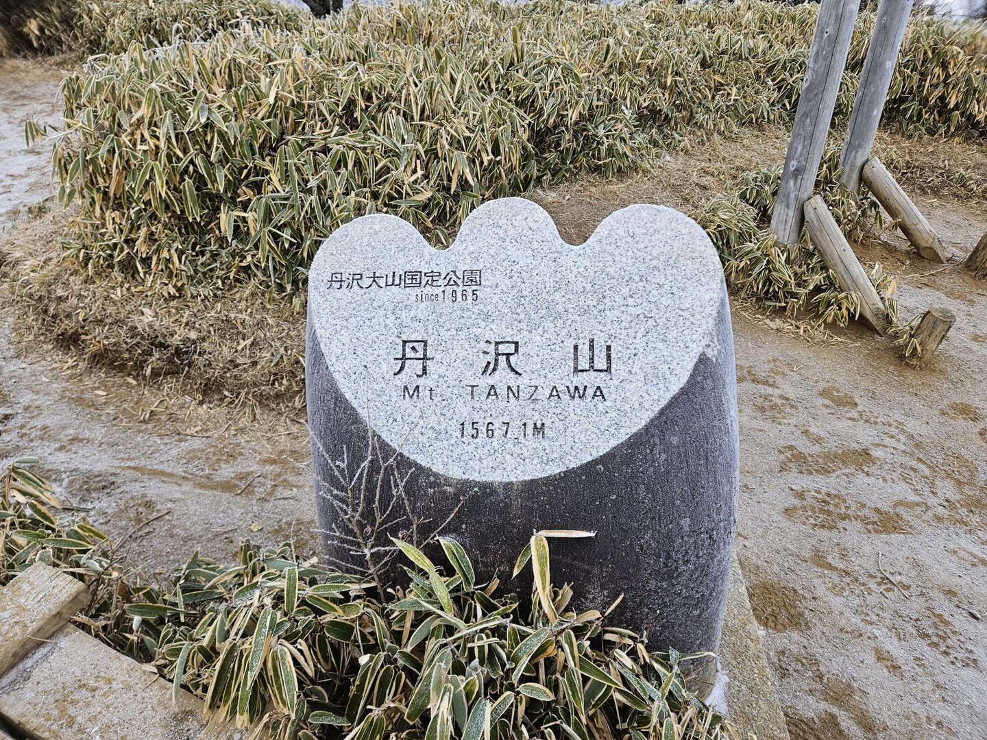 2024年登り納め‼️丹沢山 / Neoさんの塔ノ岳・丹沢山・蛭ヶ岳の活動データ | YAMAP / ヤマップ