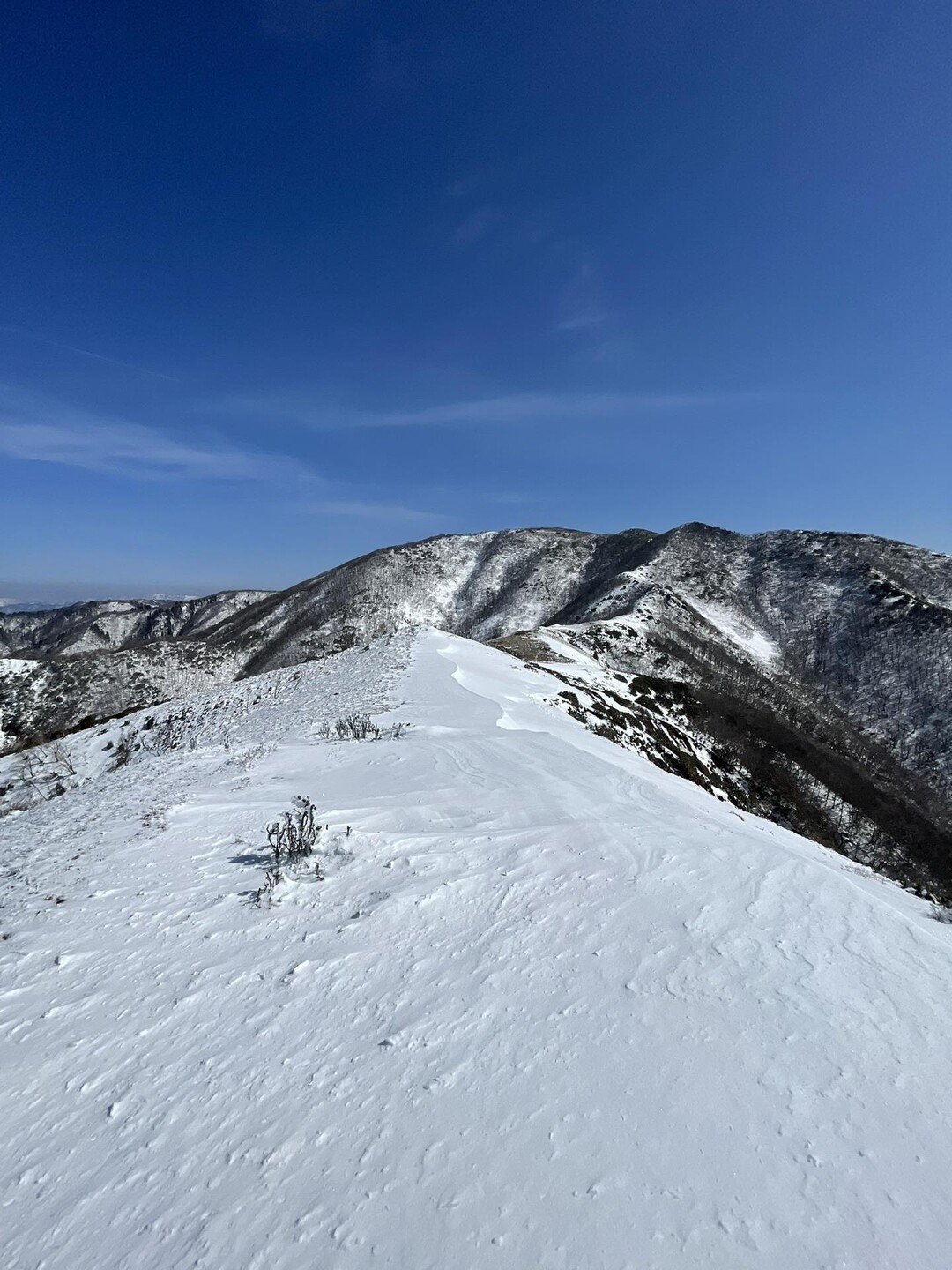綿向山・イハイガ岳・清水頭往復 / Bobさんの綿向山の活動データ | YAMAP / ヤマップ