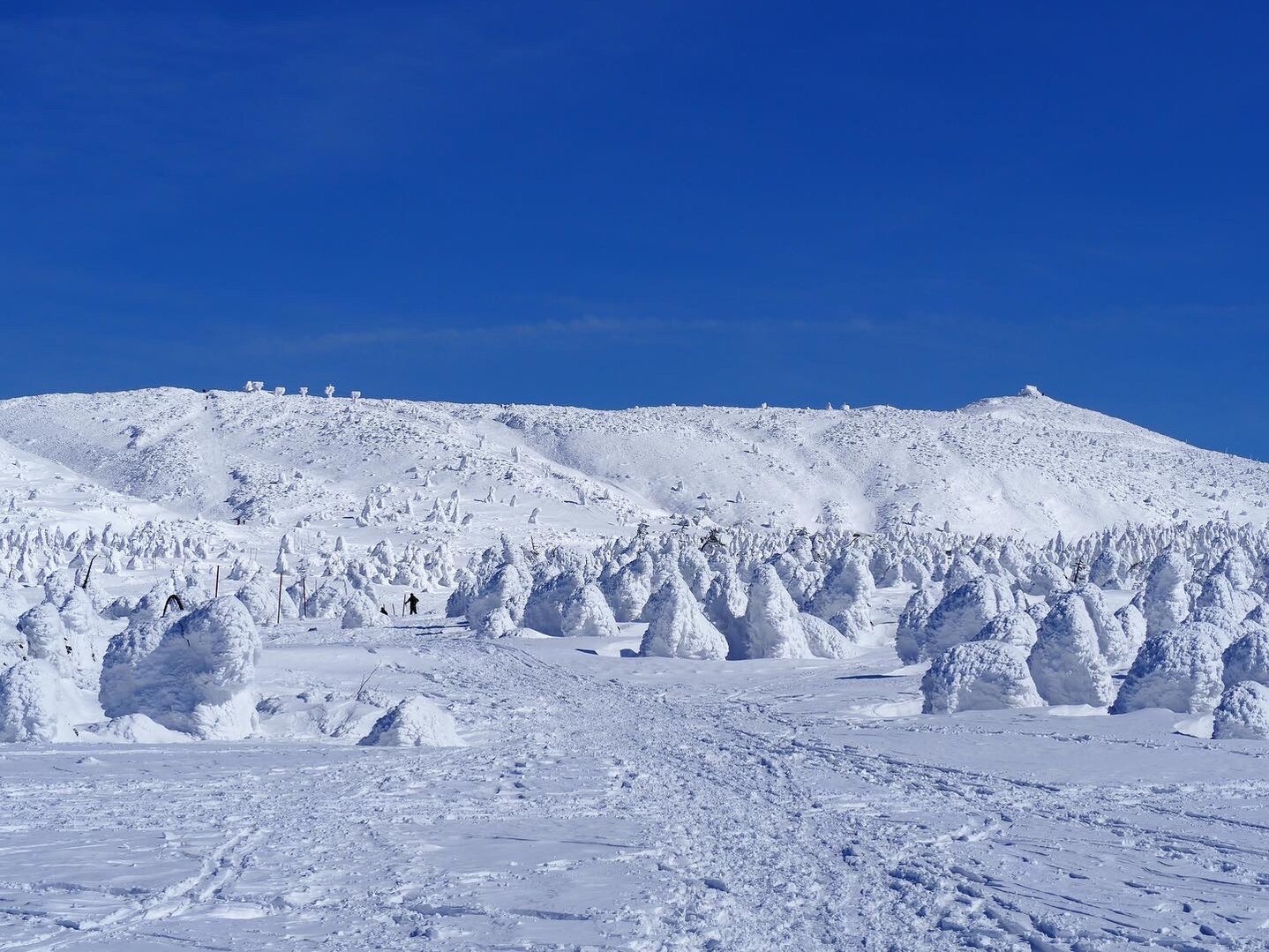 6年前の2月12日、蔵王坊平からリフト利... / HKさんのモーメント | YAMAP / ヤマップ