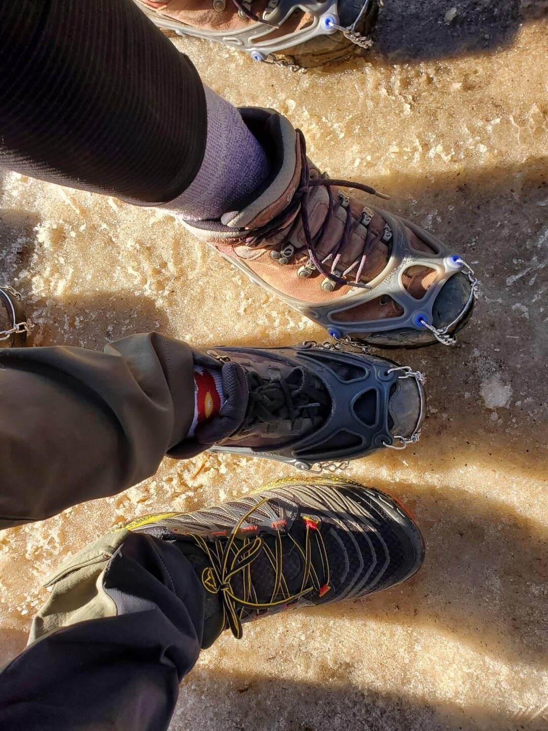 筑波山（女体山） / w.miyukiさんの筑波山の活動データ | YAMAP / ヤマップ