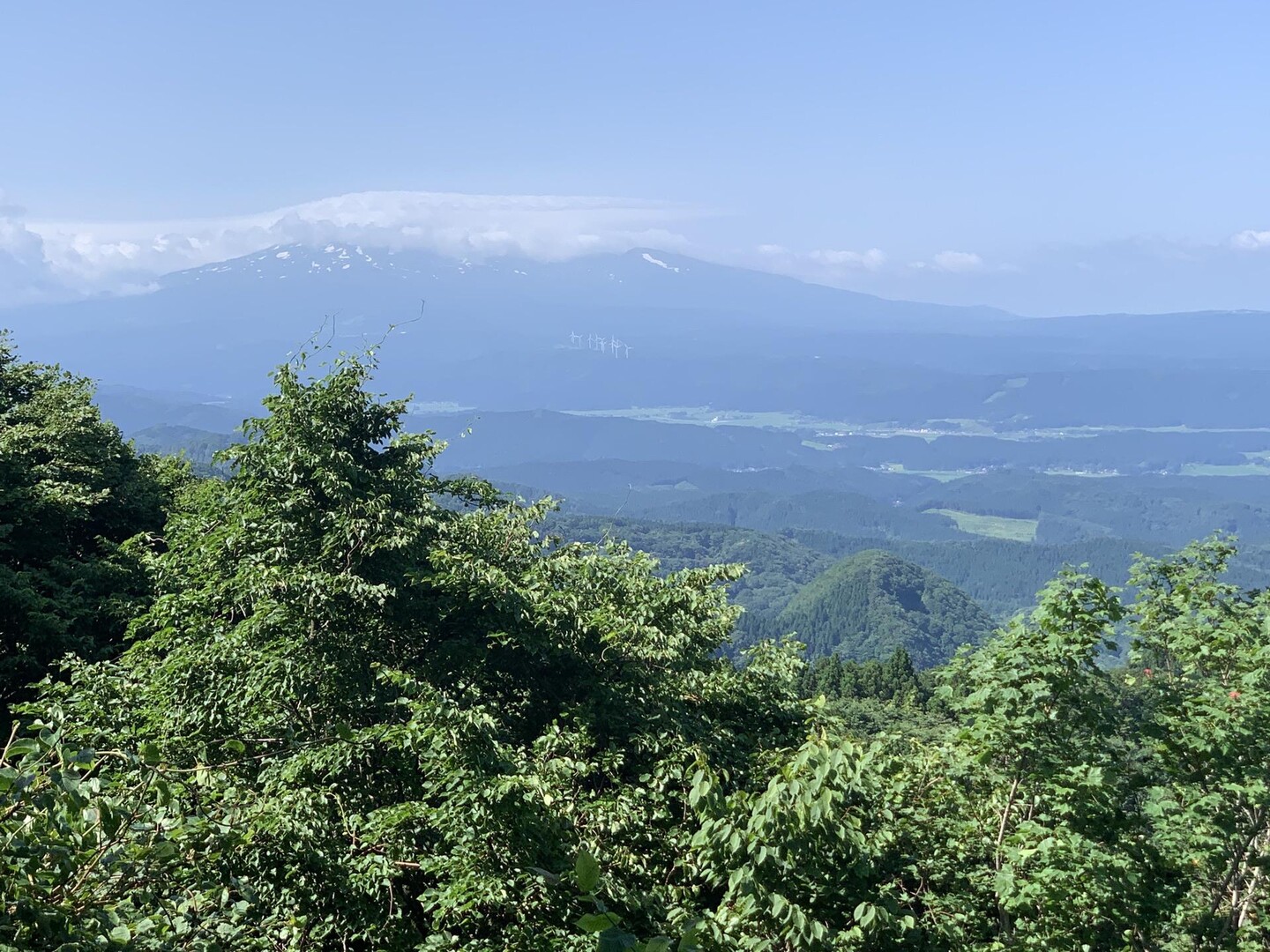 R5.7.6 仏洞山・東光山・笹森山 / あおかつさんの東光山の活動データ | YAMAP / ヤマップ