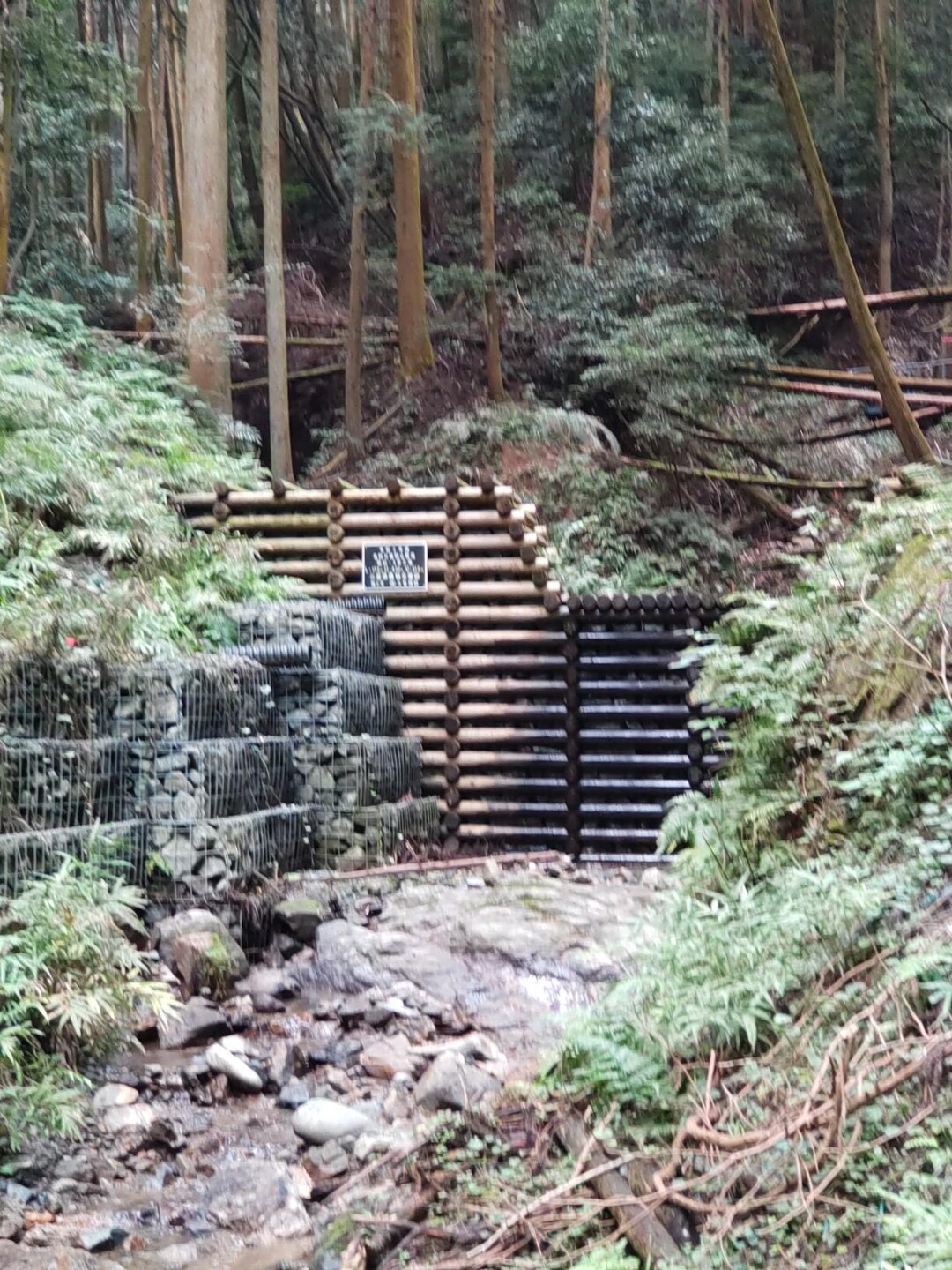 桝形山【312.3m】座禅石・砂防ダム周回ｺｰｽ / さとちゃんさんの堀坂山・観音岳・桝形山（白米城）の活動データ | YAMAP / ヤマップ