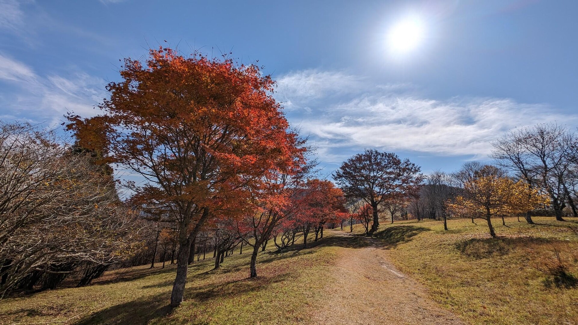 🍁茶臼山・萩太郎山🍁 / kensさんの茶臼山・萩太郎山の活動データ | YAMAP / ヤマップ