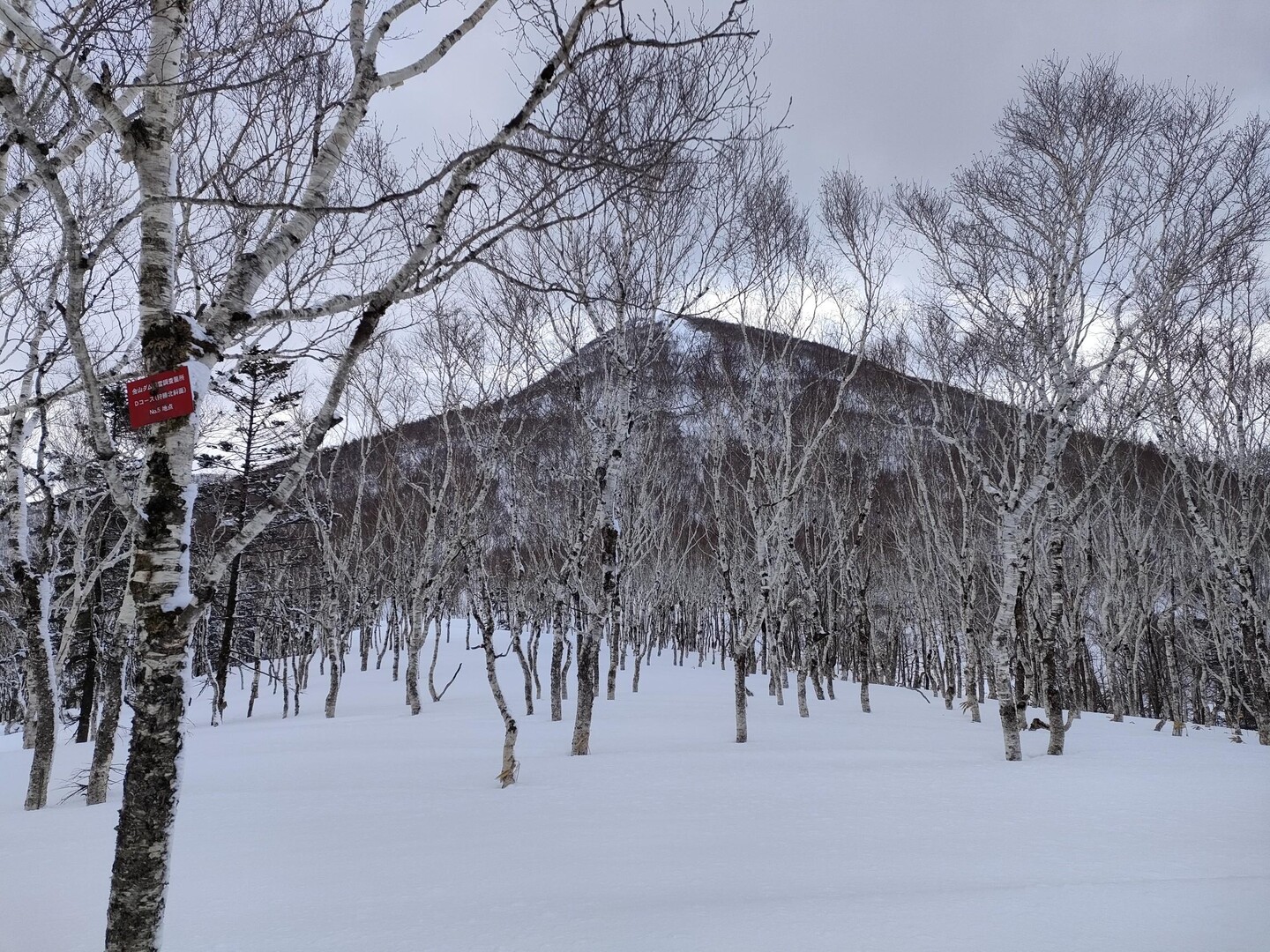 狩勝山付近散策 / maekaoさんの佐幌岳の活動データ | YAMAP / ヤマップ