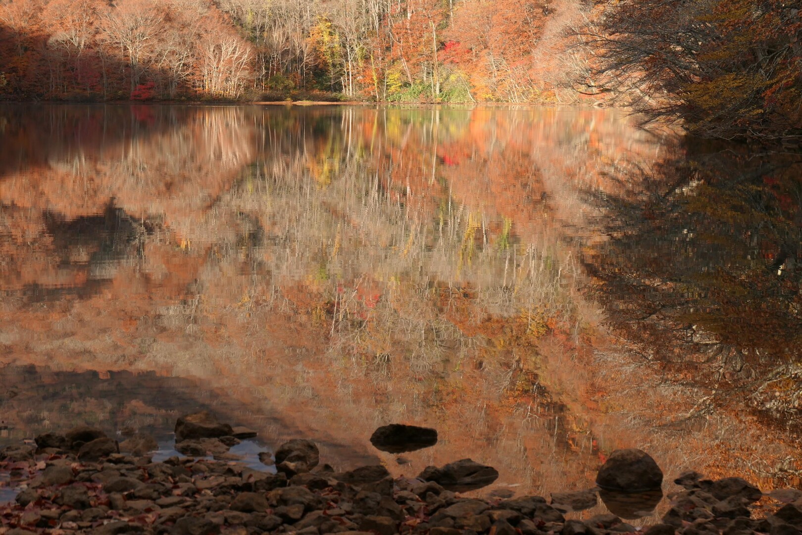 晩秋の赤沼 / yama0028さんの八甲田山・高田大岳・雛岳の活動データ | YAMAP / ヤマップ
