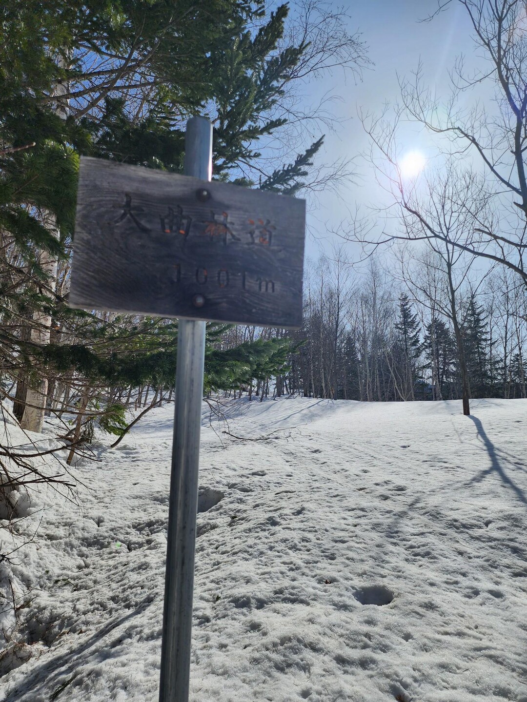 800m峰・大曲山 / がままさんの札幌岳・空沼岳の活動データ | YAMAP / ヤマップ