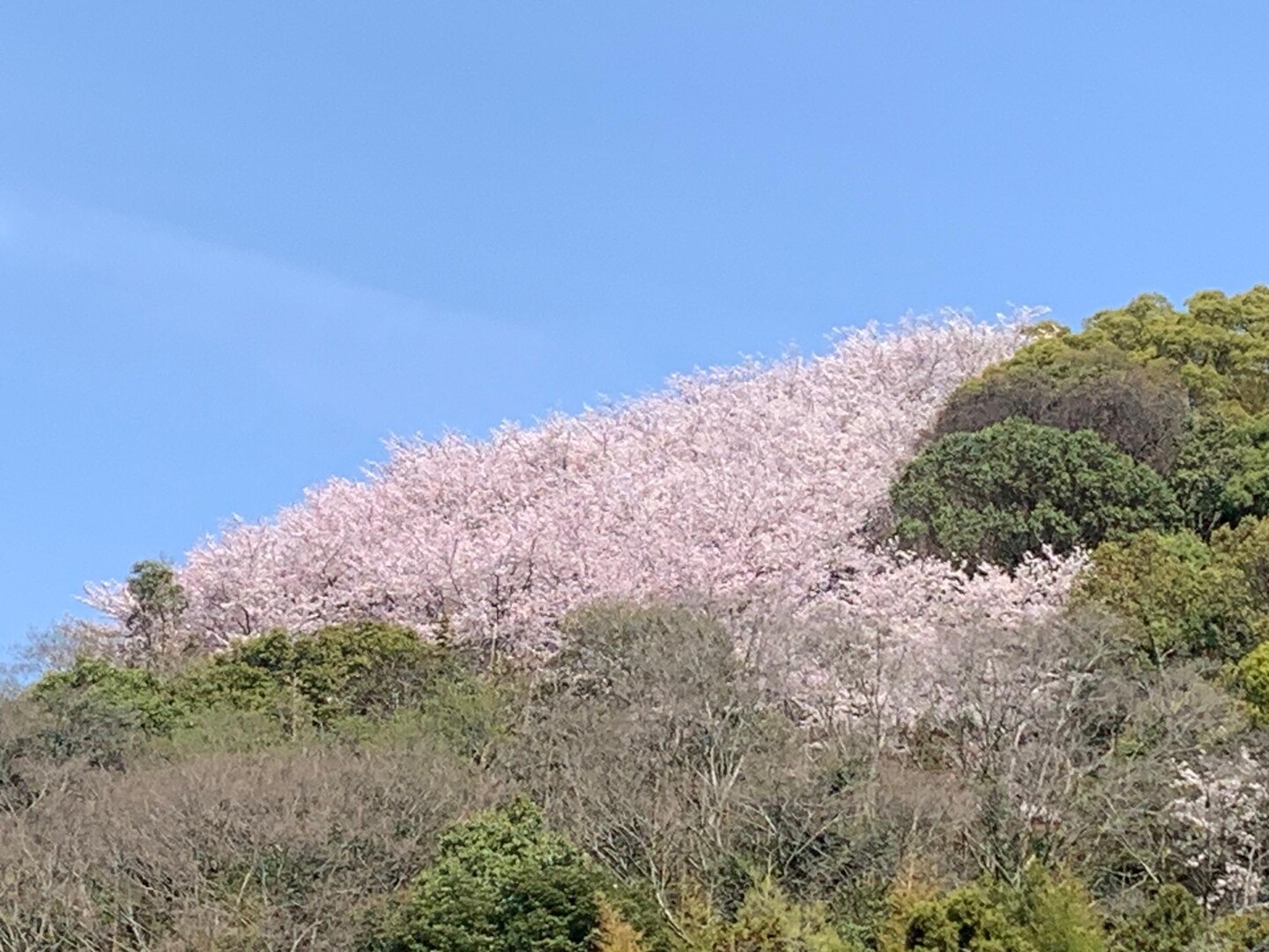 小つぶら・大つぶら・立花山 / yyshigeさんの立花山・三日月山・城ノ越山の活動データ | YAMAP / ヤマップ