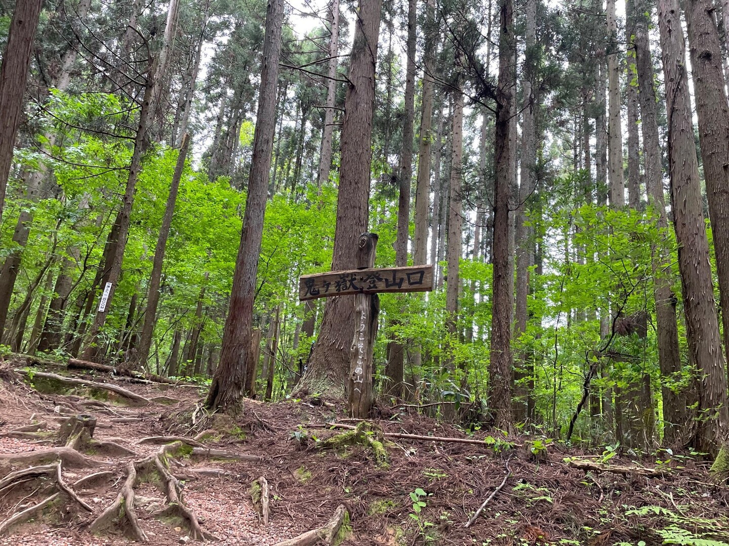 鬼👹3（鬼トレ） / JOG太郎さんの鬼ヶ岳の活動データ | YAMAP / ヤマップ