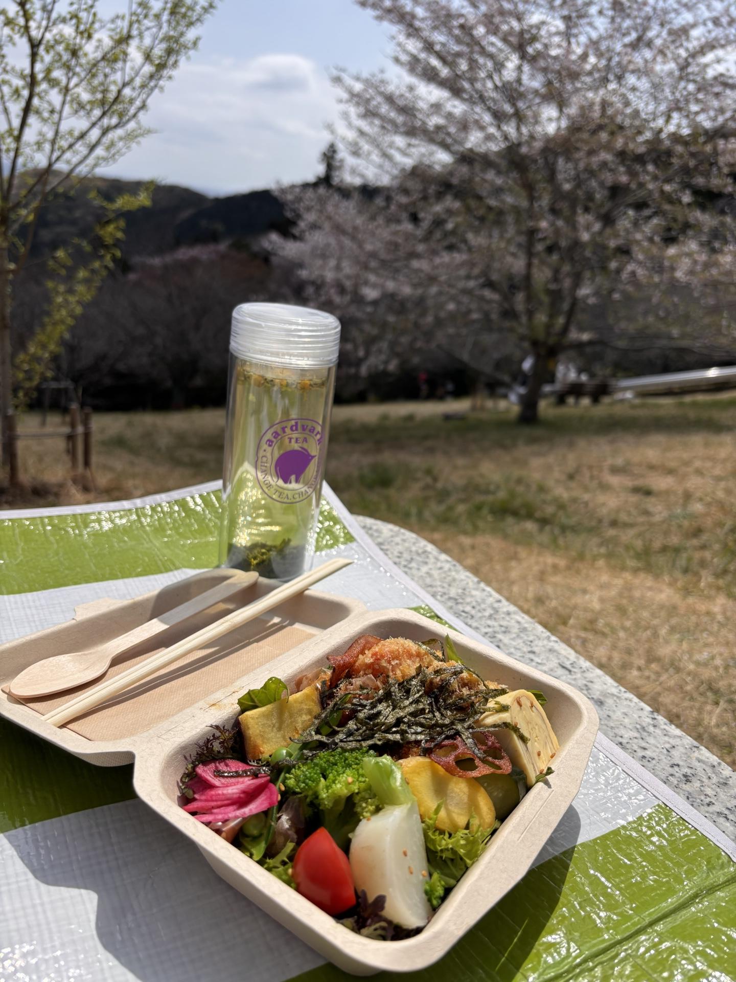 20250412 筑波山（女体山） / ちゅーさんの筑波山の活動データ | YAMAP / ヤマップ