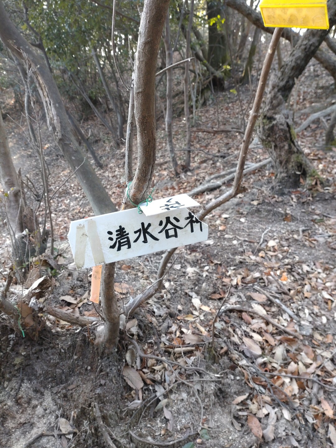 20220127 広島県 高尾山岩場まで / Kyo_omiさんの呉娑々宇山・高尾山（広島県）・日浦山の活動データ | YAMAP / ヤマップ