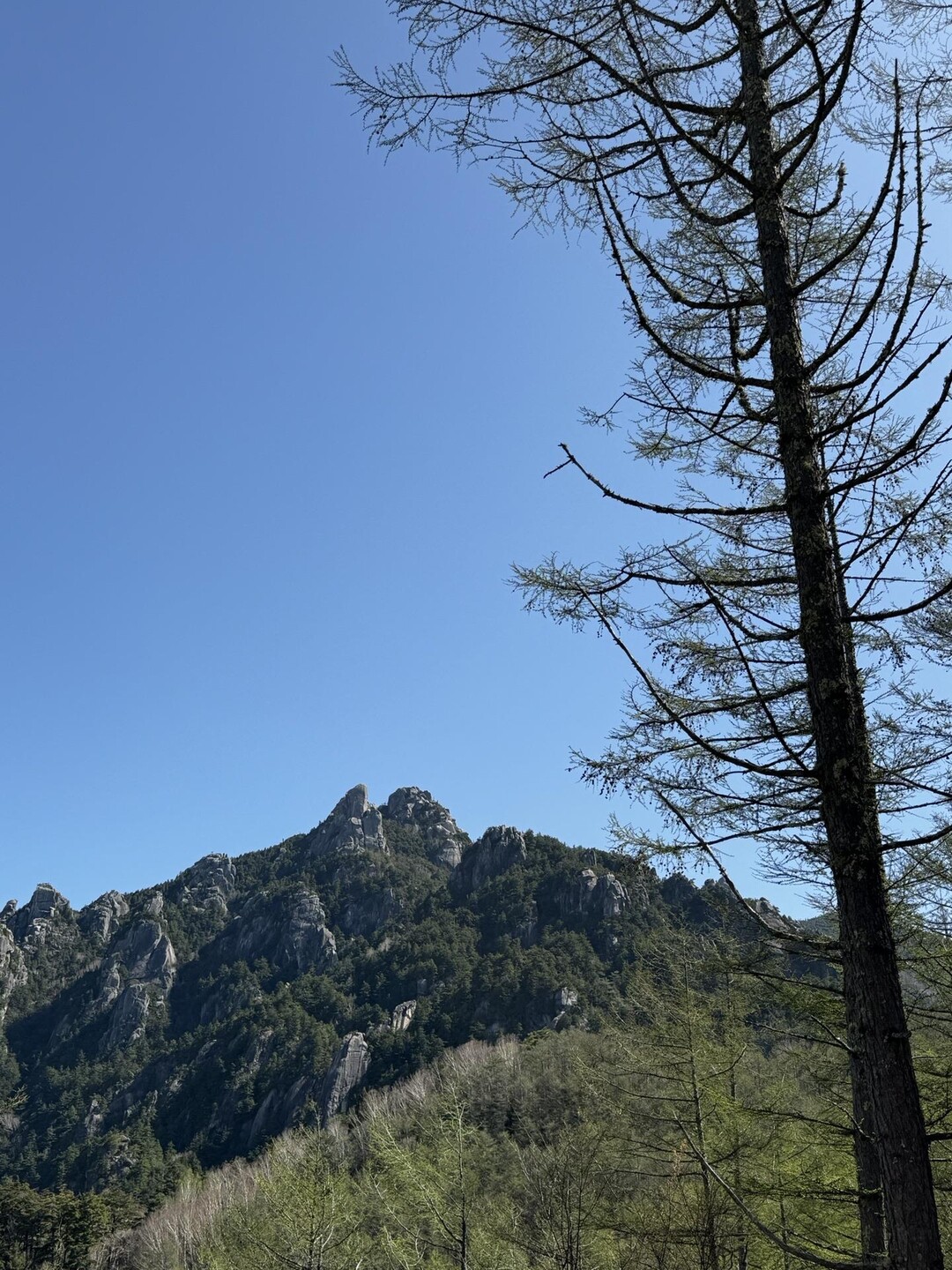 2024/5/4 瑞牆山 / kokeさんの瑞牆山・金峰山の活動データ | YAMAP / ヤマップ
