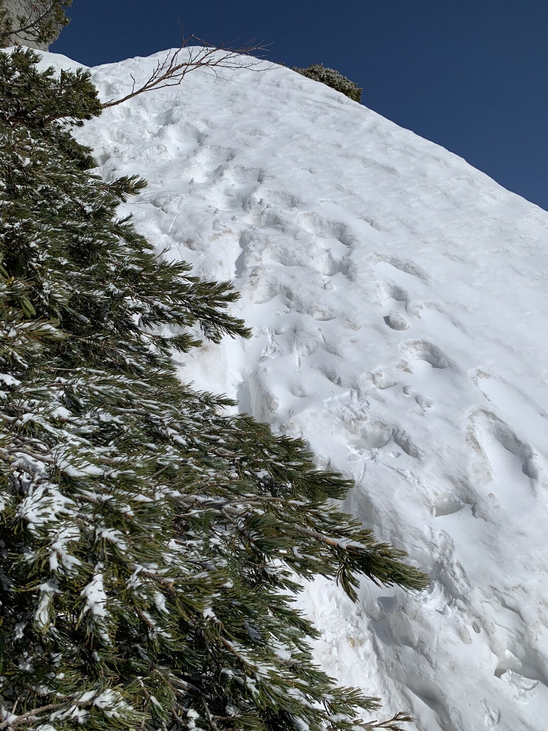 nkakさんの投稿したフィールドメモ | YAMAP / ヤマップ