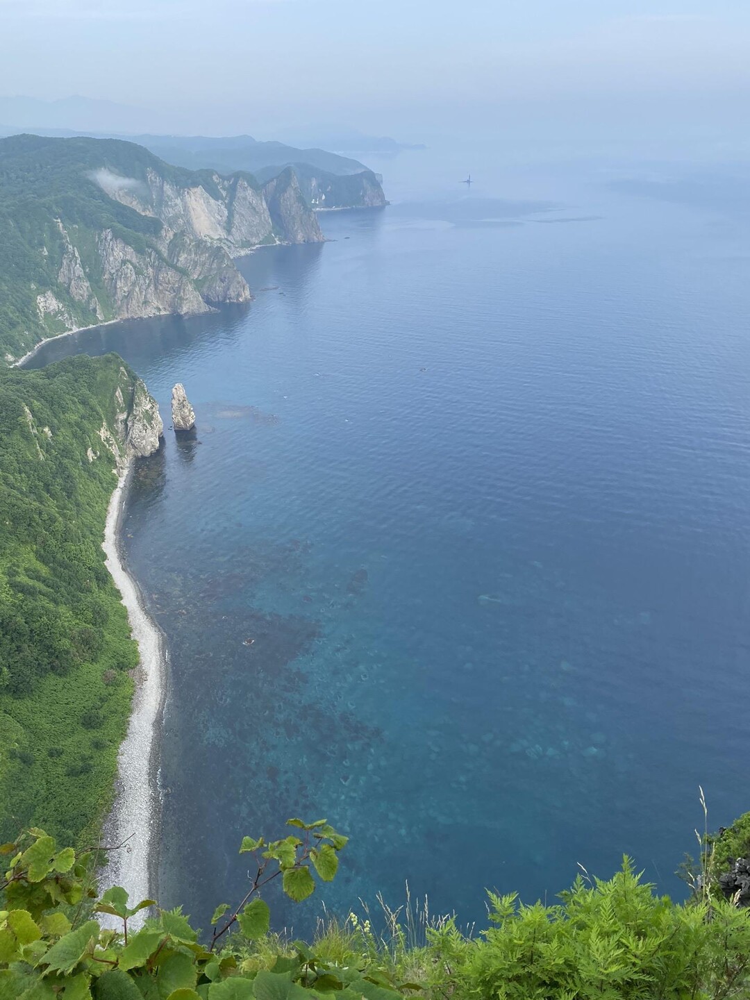 お初の尻場山 / YMさんの尻場山の活動データ | YAMAP / ヤマップ