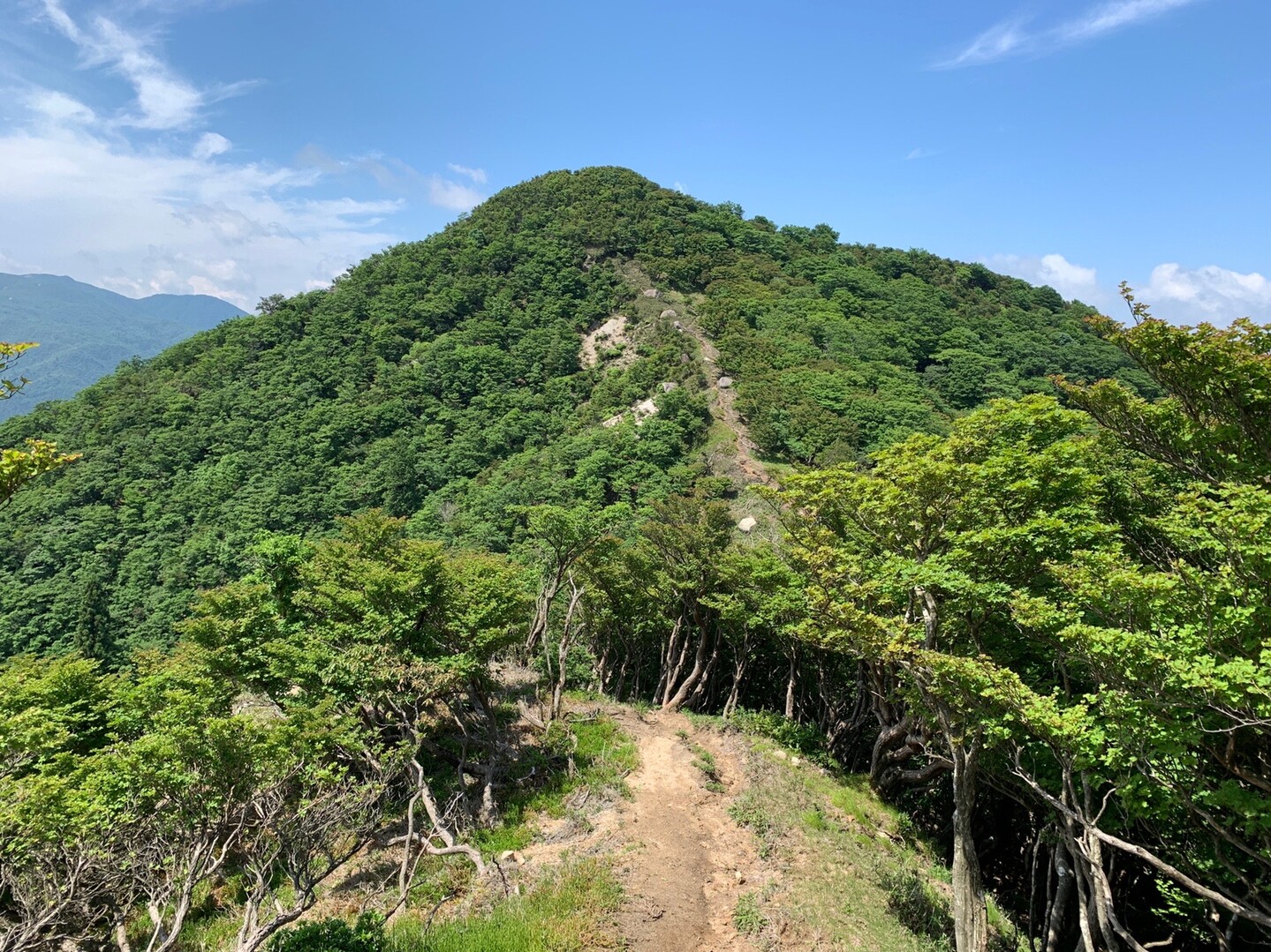 釈迦ヶ岳-2020-06-16 / naoさんの釈迦ヶ岳の活動日記 | YAMAP / ヤマップ