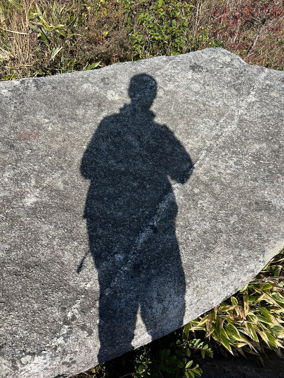 897ピーク・作礼山・作礼山東峰（権現山） / ラムちゃんさんの作礼山の活動データ | YAMAP / ヤマップ