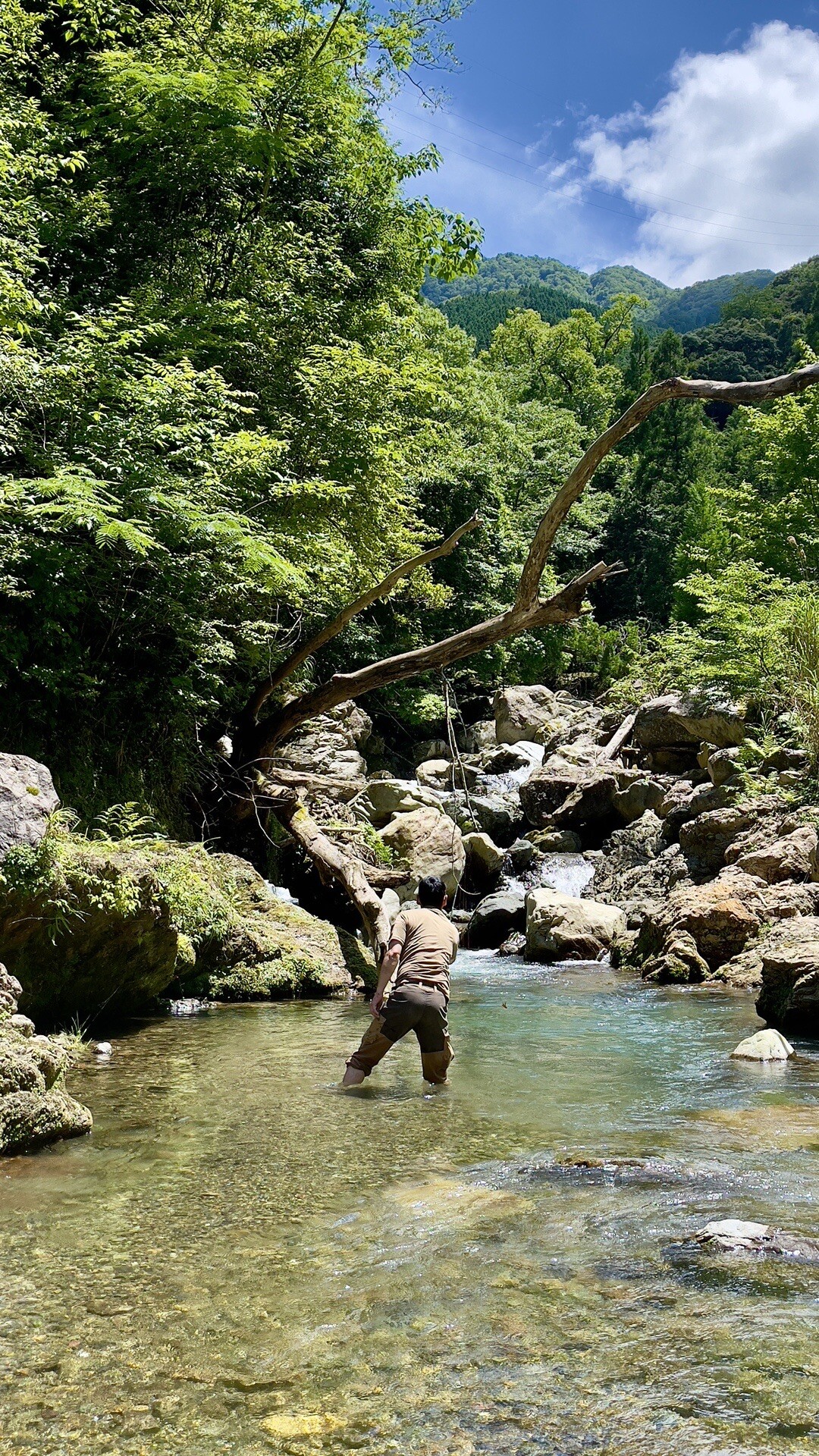 釣りキャン🐟 / Kossyさんのモーメント | YAMAP / ヤマップ