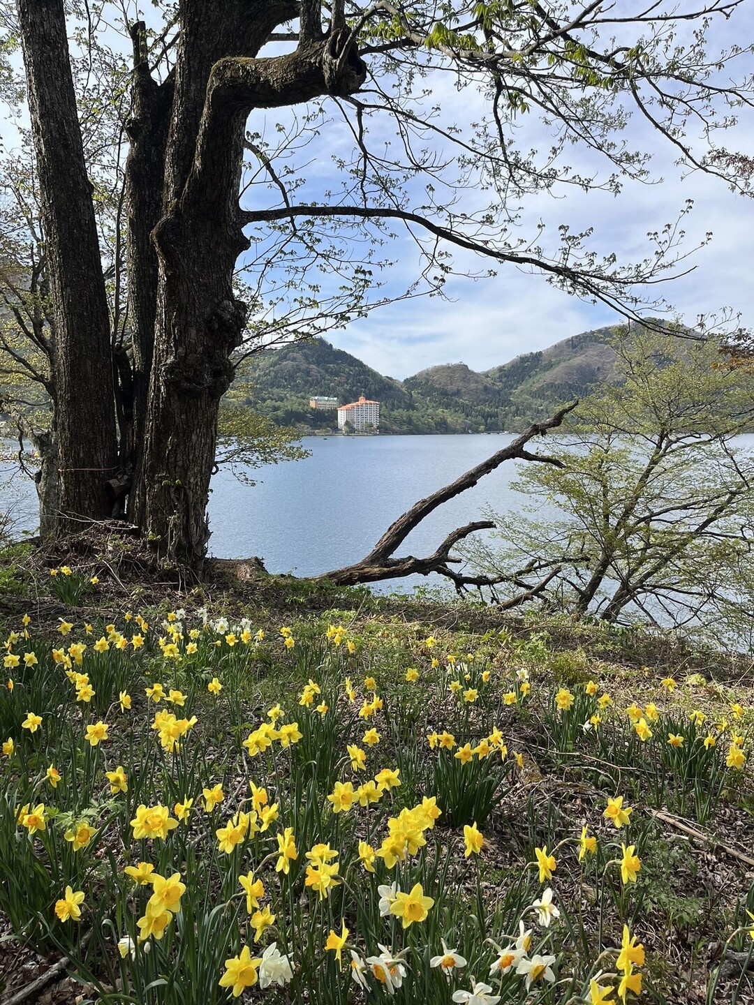 伊香保BS→ロープウェイ🚡→水沢山→二ッ岳→榛名山→榛名湖まで8ピーク⛰ / mskふぅさんの榛名山・天狗山・天目山の活動データ | YAMAP / ヤマップ