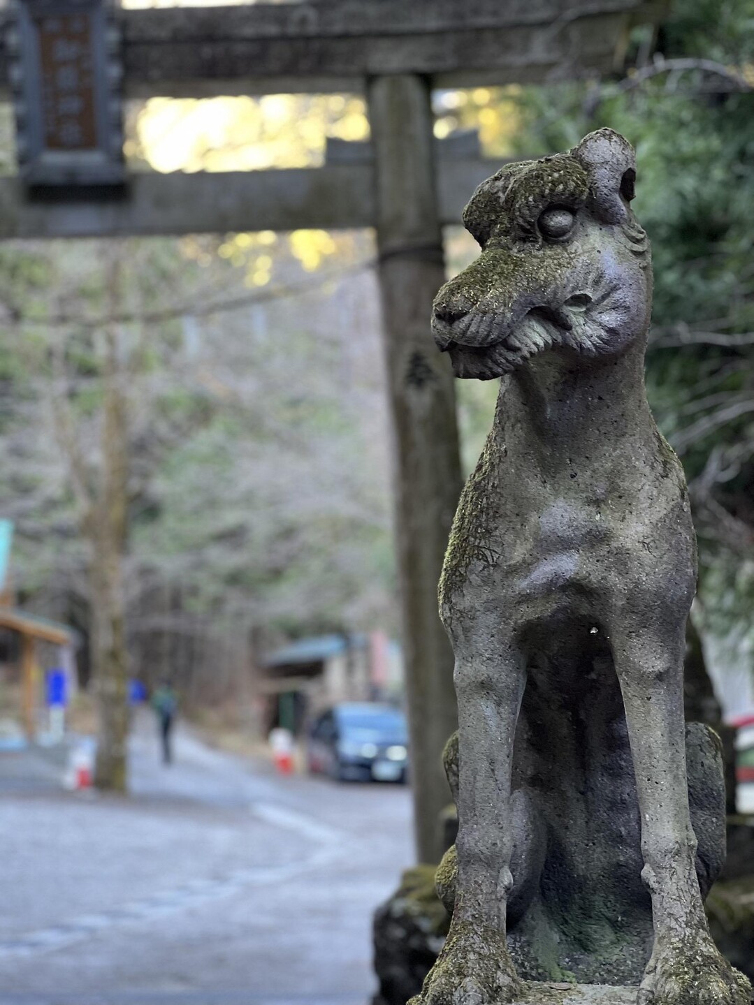 武甲山 / kaeruさんの武甲山・伊豆ヶ岳・小持山の活動データ | YAMAP / ヤマップ