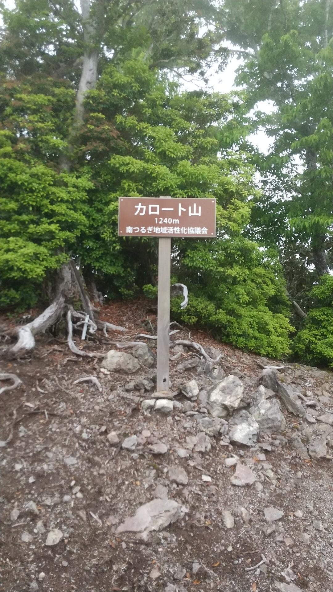 カロート山～今日もミストな世界へ～2024/6/8 / Sunさんの青ノ塔・六郎山・平家平の活動データ | YAMAP / ヤマップ