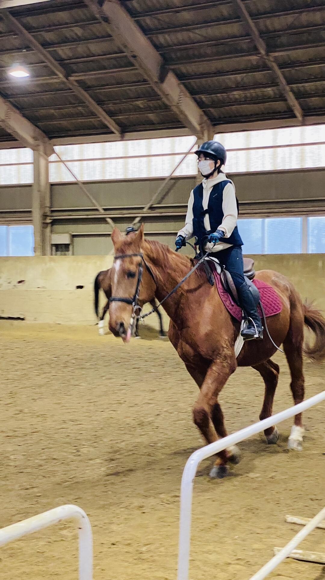 今日の予定が雨で中止になって 時間が空い... / Naoさんのモーメント | YAMAP / ヤマップ