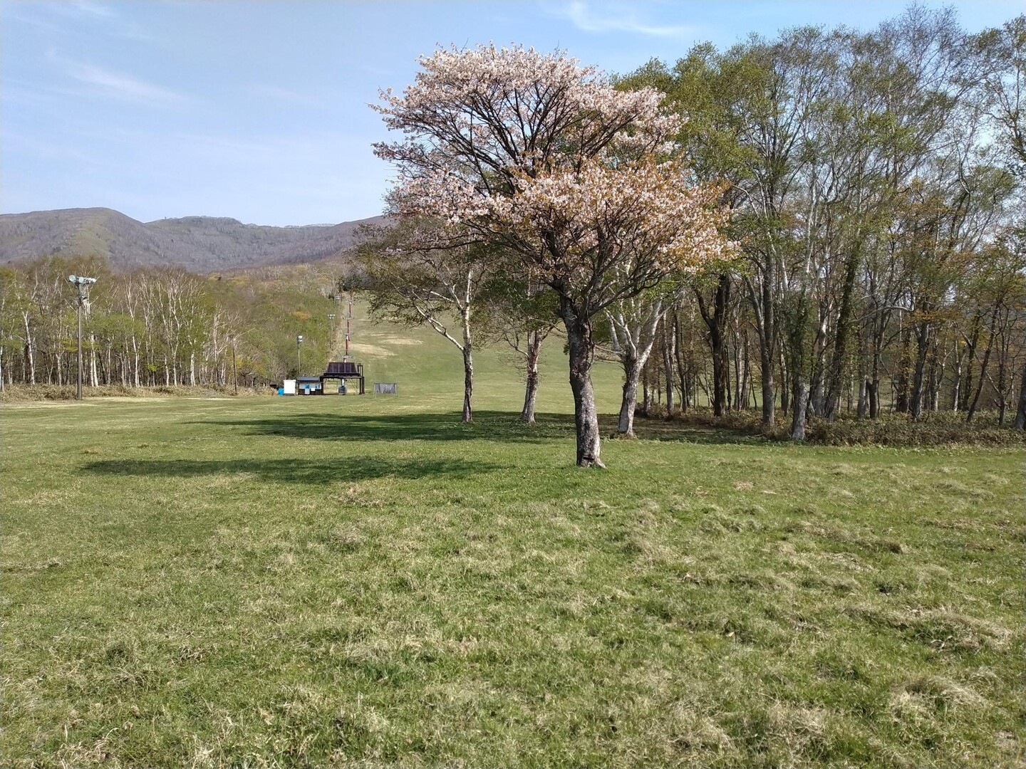 新緑2024年室蘭岳 / tosiさんの鷲別岳（室蘭岳）・カムイヌプリの活動データ | YAMAP / ヤマップ