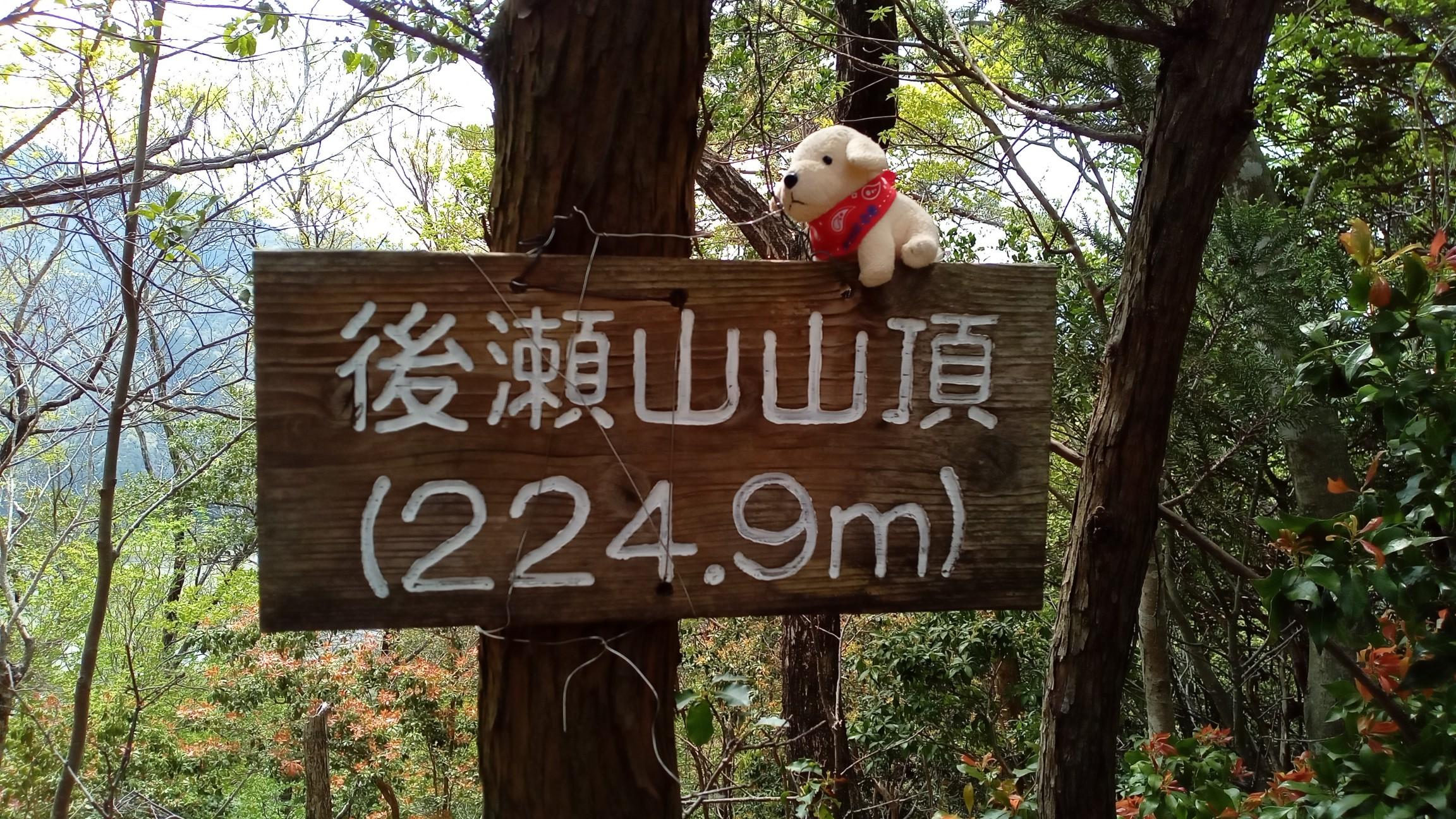 後瀬山（山城跡・三等三角点） / ryu1334さんの後瀬山の活動データ | YAMAP / ヤマップ