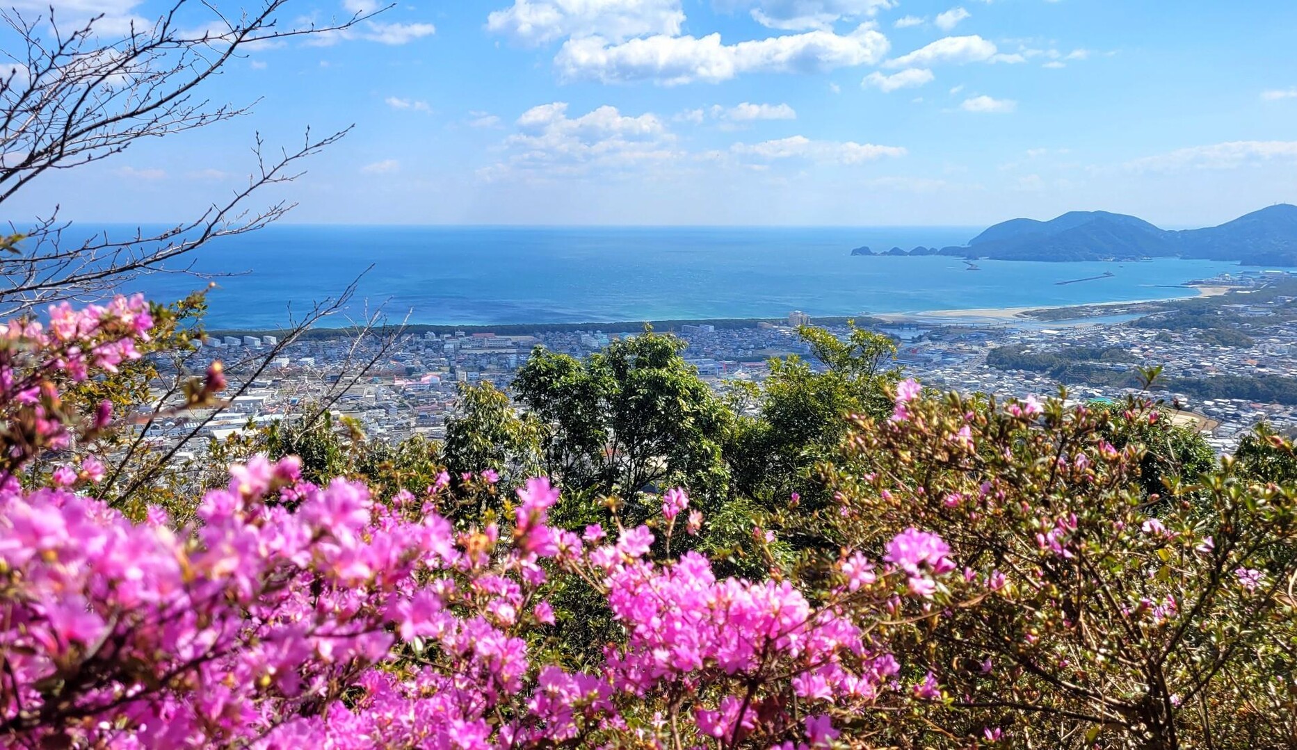 延岡三部作2️⃣＆3️⃣市民に愛されし山『愛宕山』とオマケに『城山』😄 / wakky!!さんの愛宕山の活動データ | YAMAP / ヤマップ