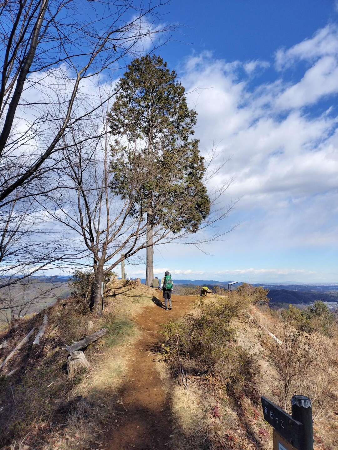 赤ぼっこ-2025-01-08 / chieさんのウォーキングの活動データ | YAMAP / ヤマップ