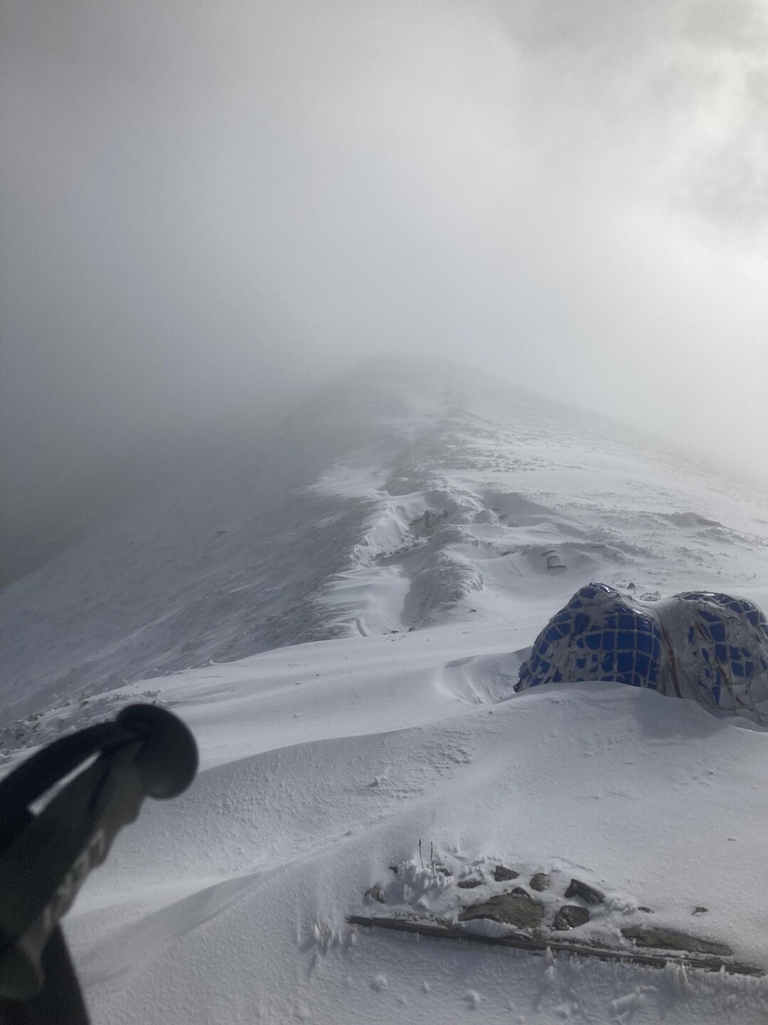 上が2021.10.24、下が2020... / Takitaro Jr.さんのモーメント | YAMAP / ヤマップ