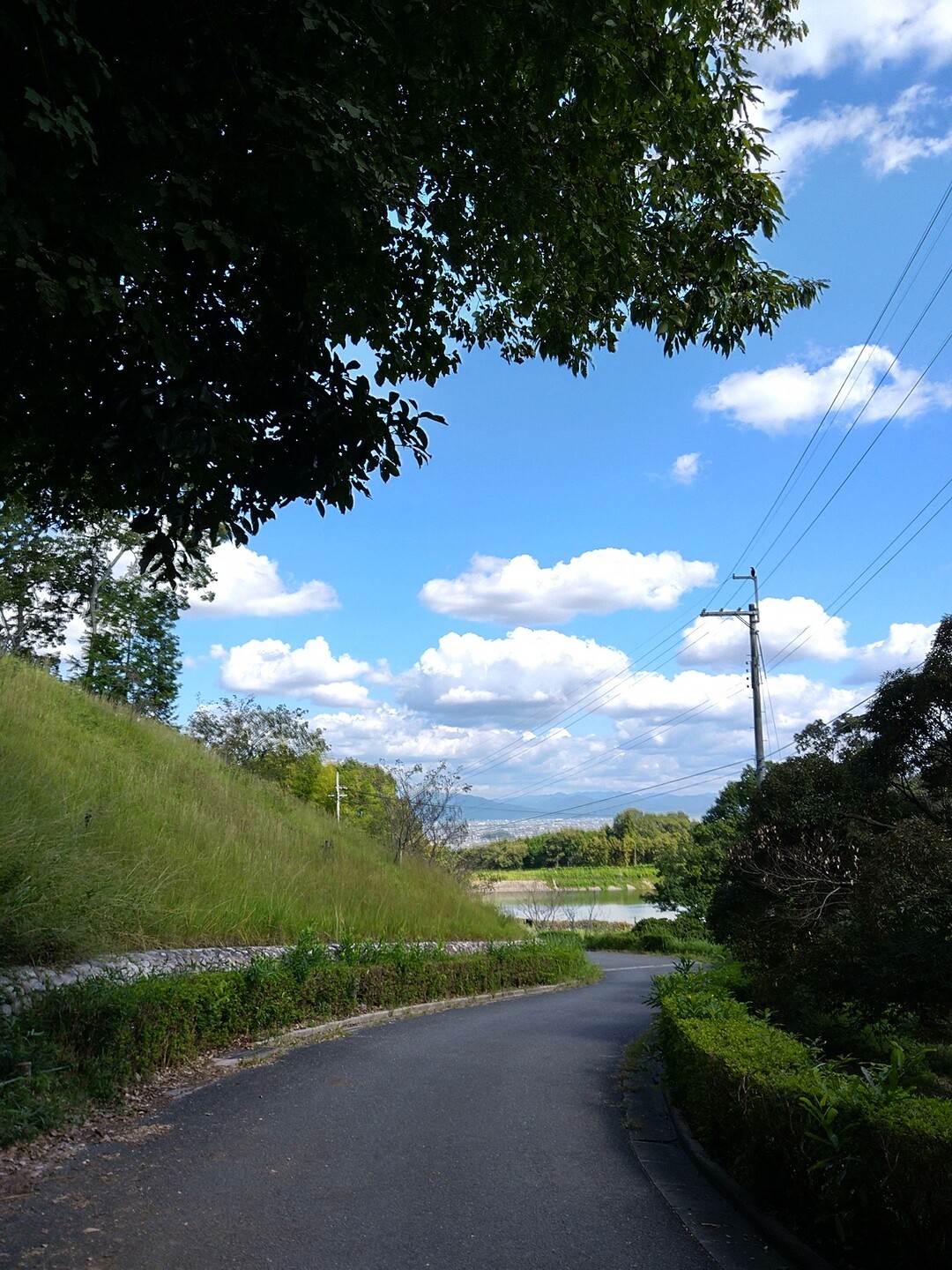 奈良側から二上山へ / 9niさんの金剛山・二上山・大和葛城山の活動日記 | YAMAP / ヤマップ