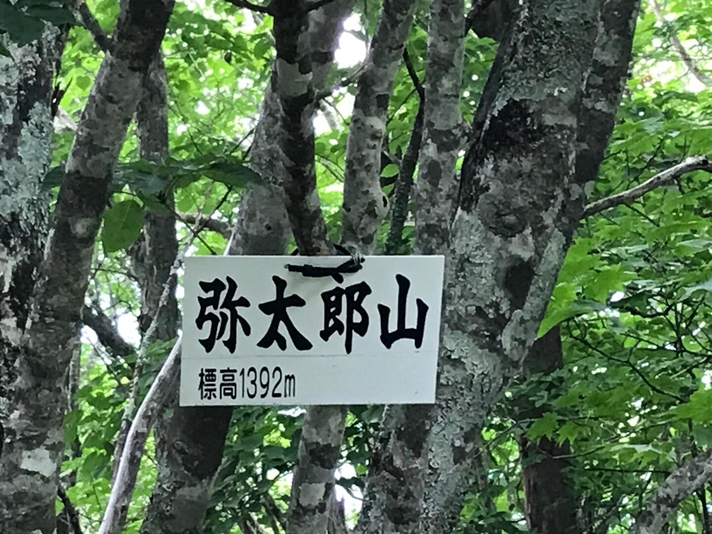 弥太郎山 / midoriさんの古賀志山・赤岩山・鞍掛山・男抱山・半蔵山の活動データ | YAMAP / ヤマップ