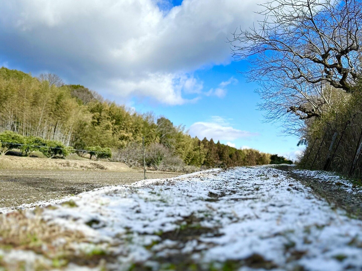 雪化粧の法隆寺裏山⛰に春を感じに…🐞 / nataiさんのウォーキングの活動データ | YAMAP / ヤマップ