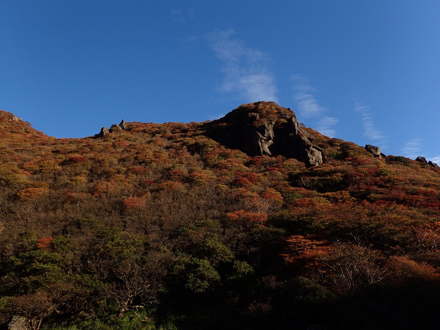 紅葉鑑賞 in 三俣山 / まーさんの九重山（久住山）・大船山・星生山の活動データ | YAMAP / ヤマップ