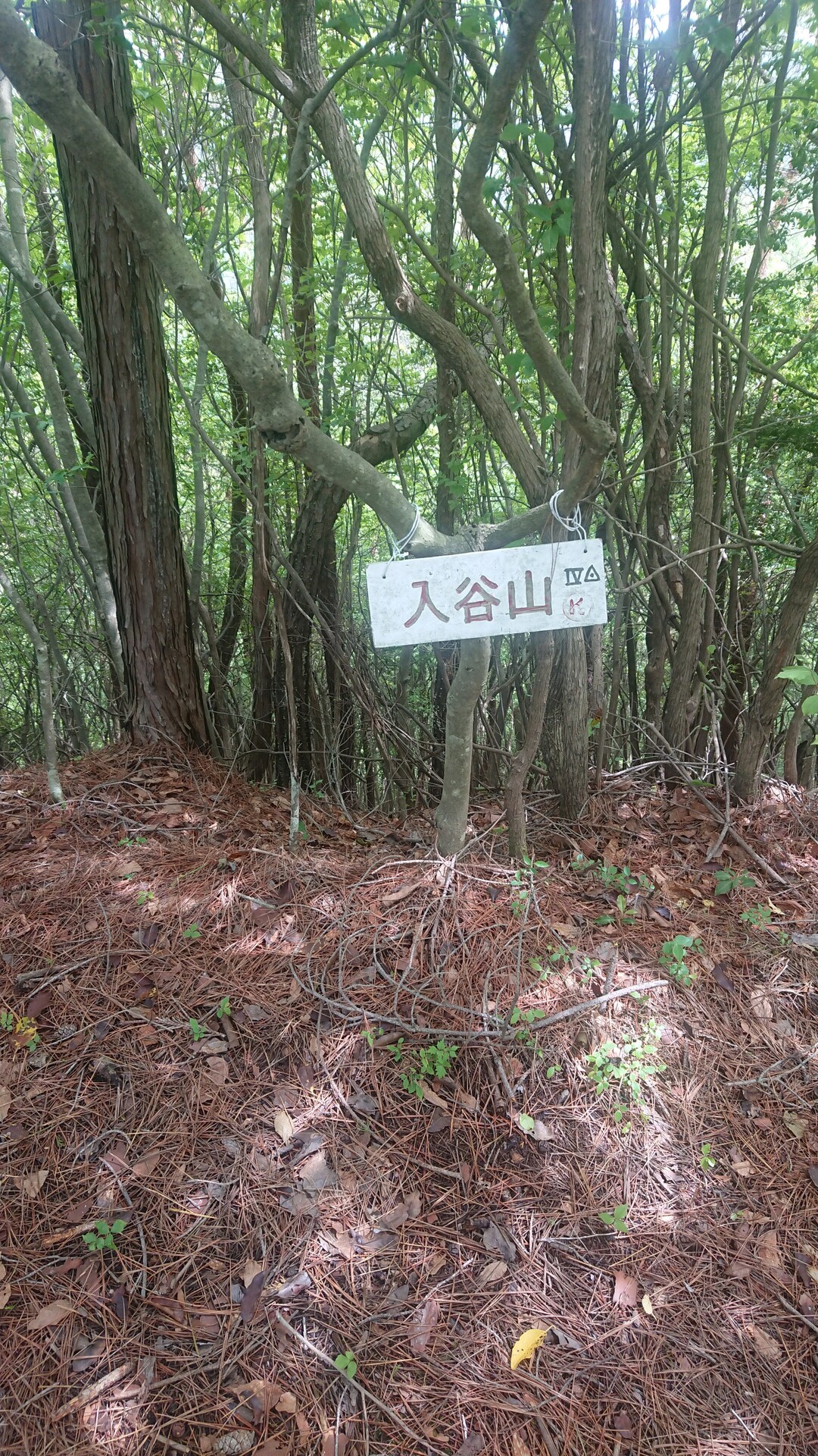 プルさんの投稿したフィールドメモ | YAMAP / ヤマップ