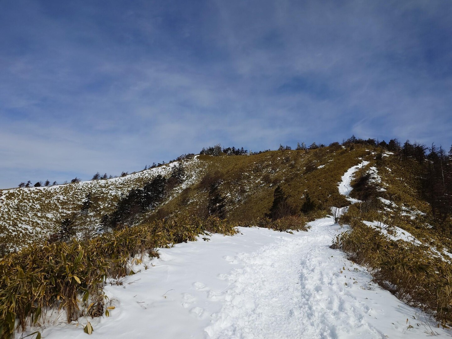 横岳・大川入山 / isoさんの大川入山・横岳の活動日記 | YAMAP / ヤマップ
