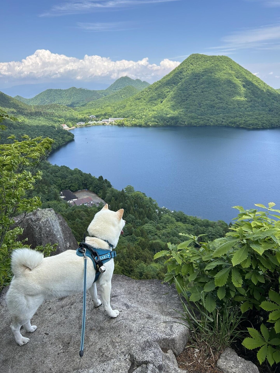 榛名富士〜掃部ヶ岳（犬連れ・榛名湖周回） / HAKU&NAOさんの榛名山・天狗山・天目山の活動データ | YAMAP / ヤマップ