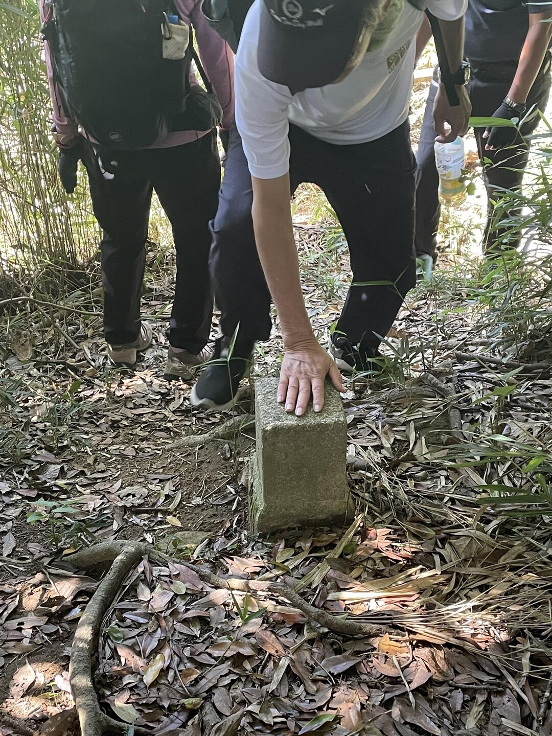 四王司山 / JBT5さんの勝山・四王司山の活動データ | YAMAP / ヤマップ