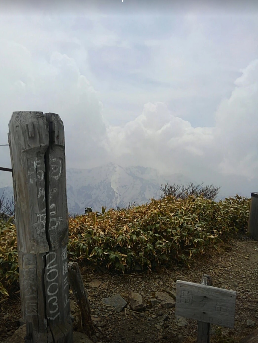 2021.01.23(土) 13:33 / パーキーさんのモーメント | YAMAP / ヤマップ