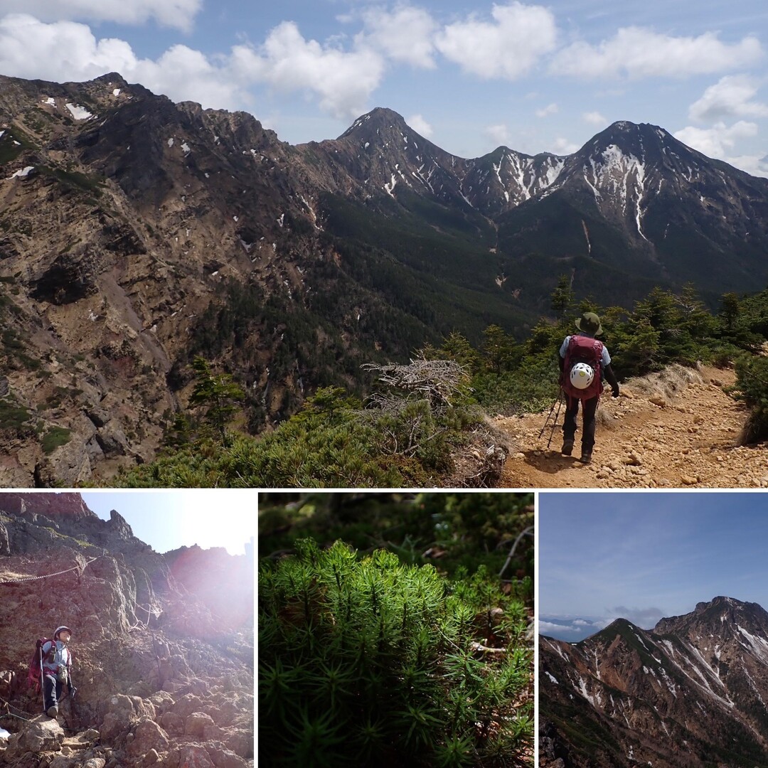 赤岳(八ヶ岳)〜横岳3種盛り(峰)〜硫黄岳周回 / parotinさんの八ヶ岳（赤岳・硫黄岳・天狗岳）の活動データ | YAMAP / ヤマップ