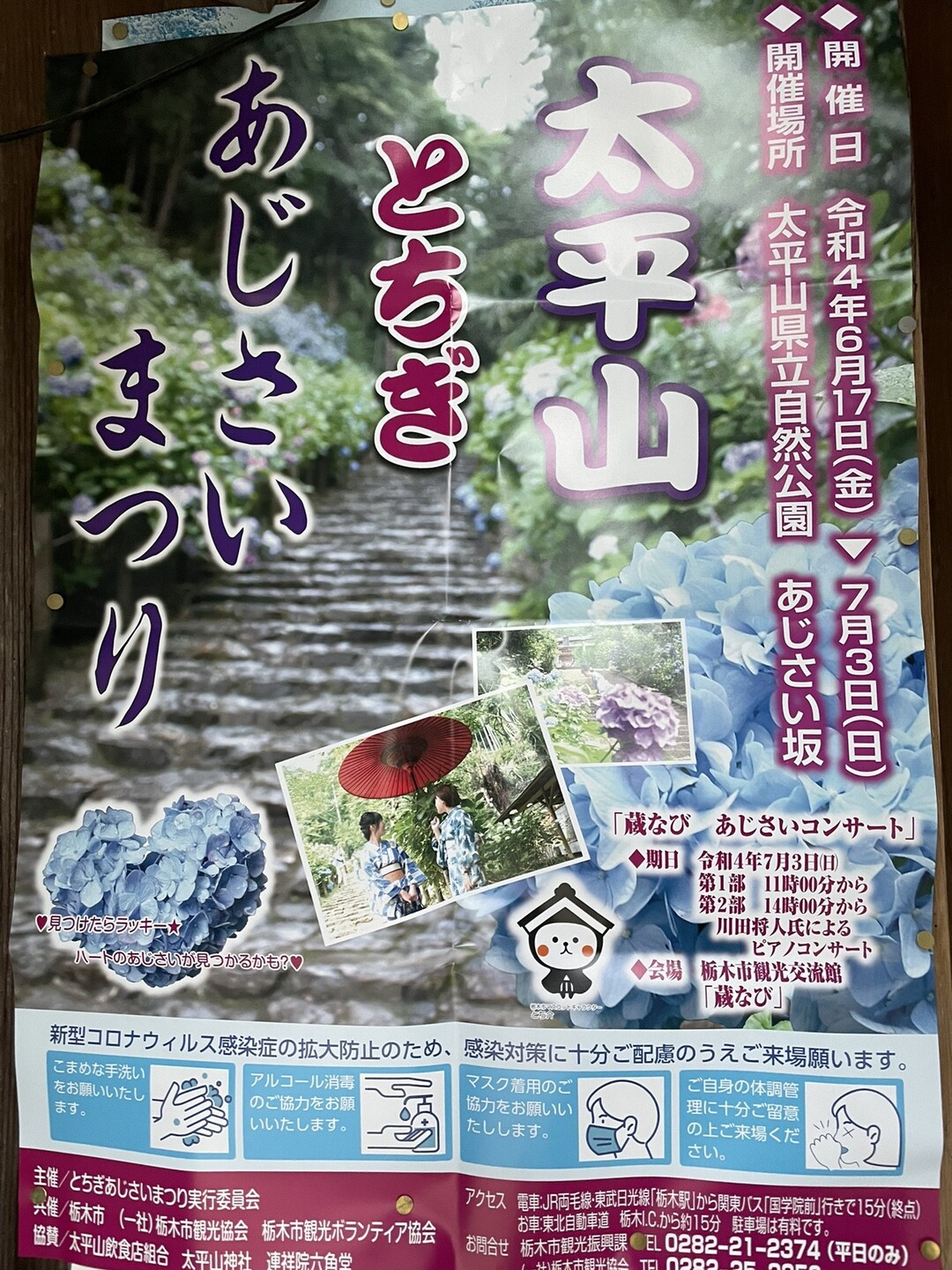 💠太平山のあじさいまつり💠 / saeさんのモーメント | YAMAP / ヤマップ