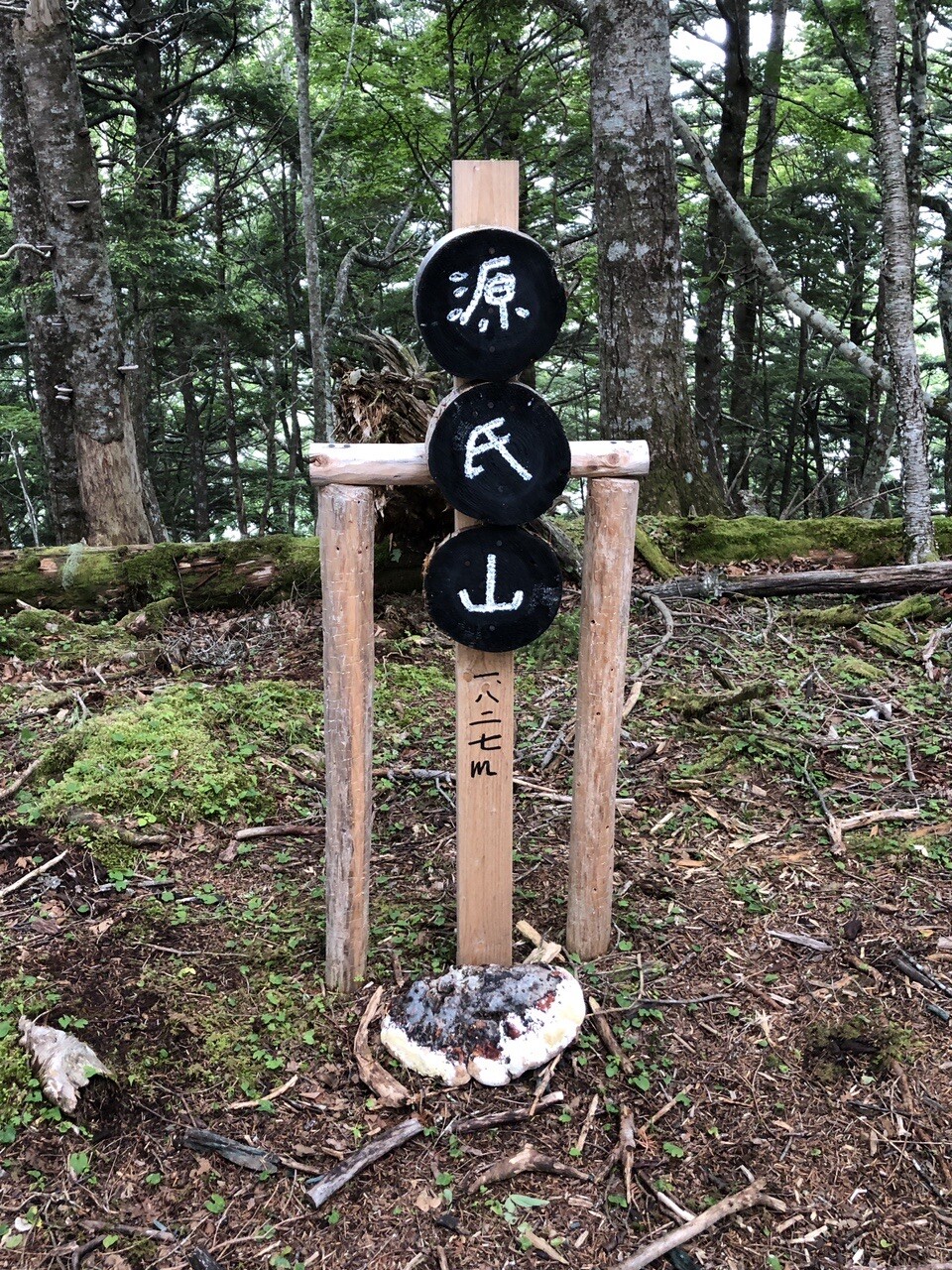 源氏山・大峠山 / Co-CHeさんの源氏山の活動日記 | YAMAP / ヤマップ