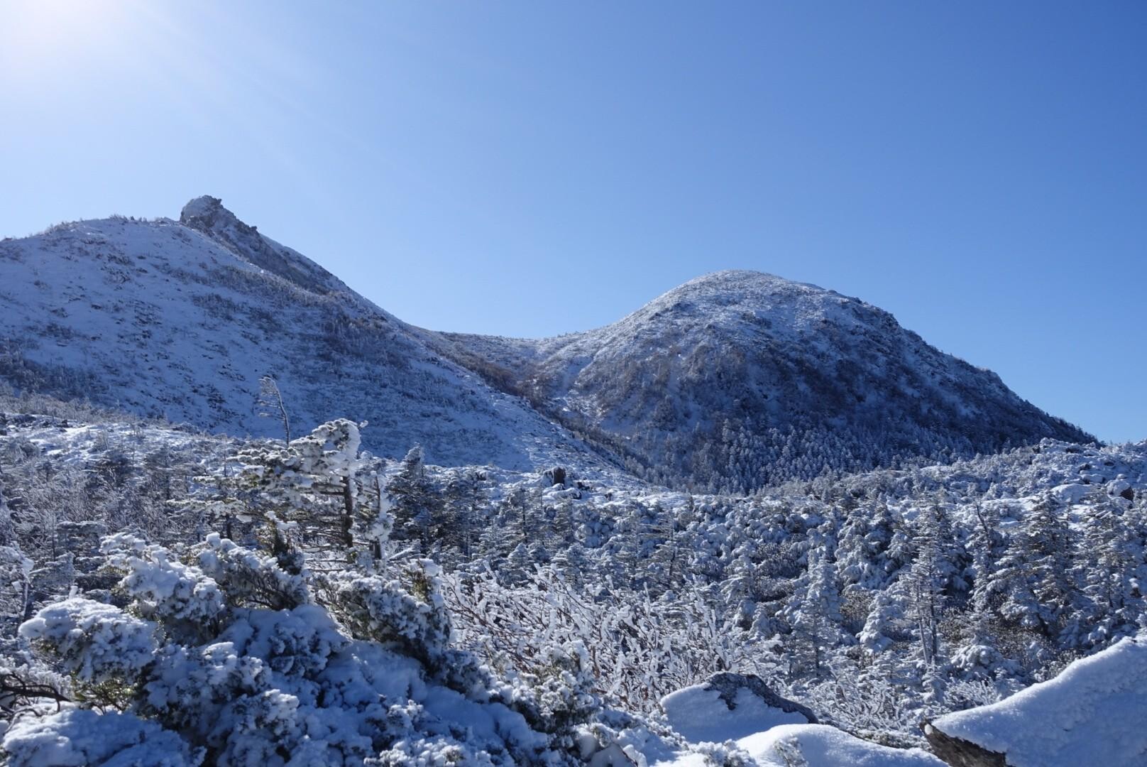 天狗岳（西天狗岳）・東天狗岳 / accoさんの八ヶ岳（赤岳・硫黄岳・天狗岳）の活動データ | YAMAP / ヤマップ