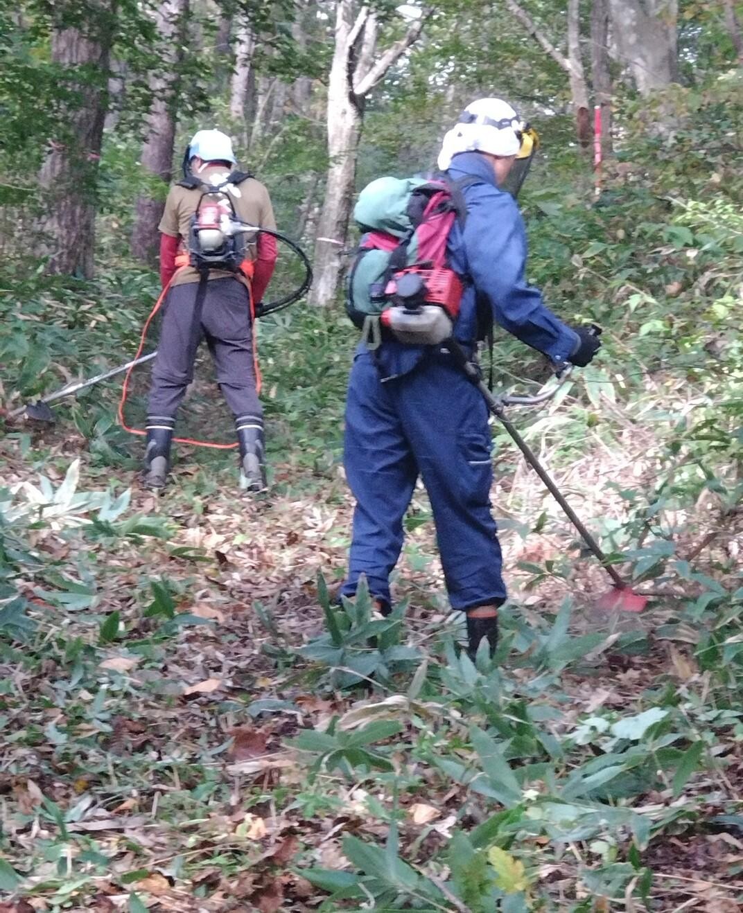 蔵王古道の会恒例 青麻山刈払い整備に初参... / sendainohosiさんのモーメント | YAMAP / ヤマップ
