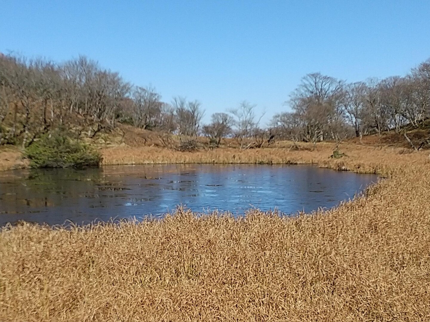 権現山・ホッケ山・蓬莱山・打見山 / srimatiさんの比良山地・武奈ヶ岳・釈迦岳の活動データ | YAMAP / ヤマップ