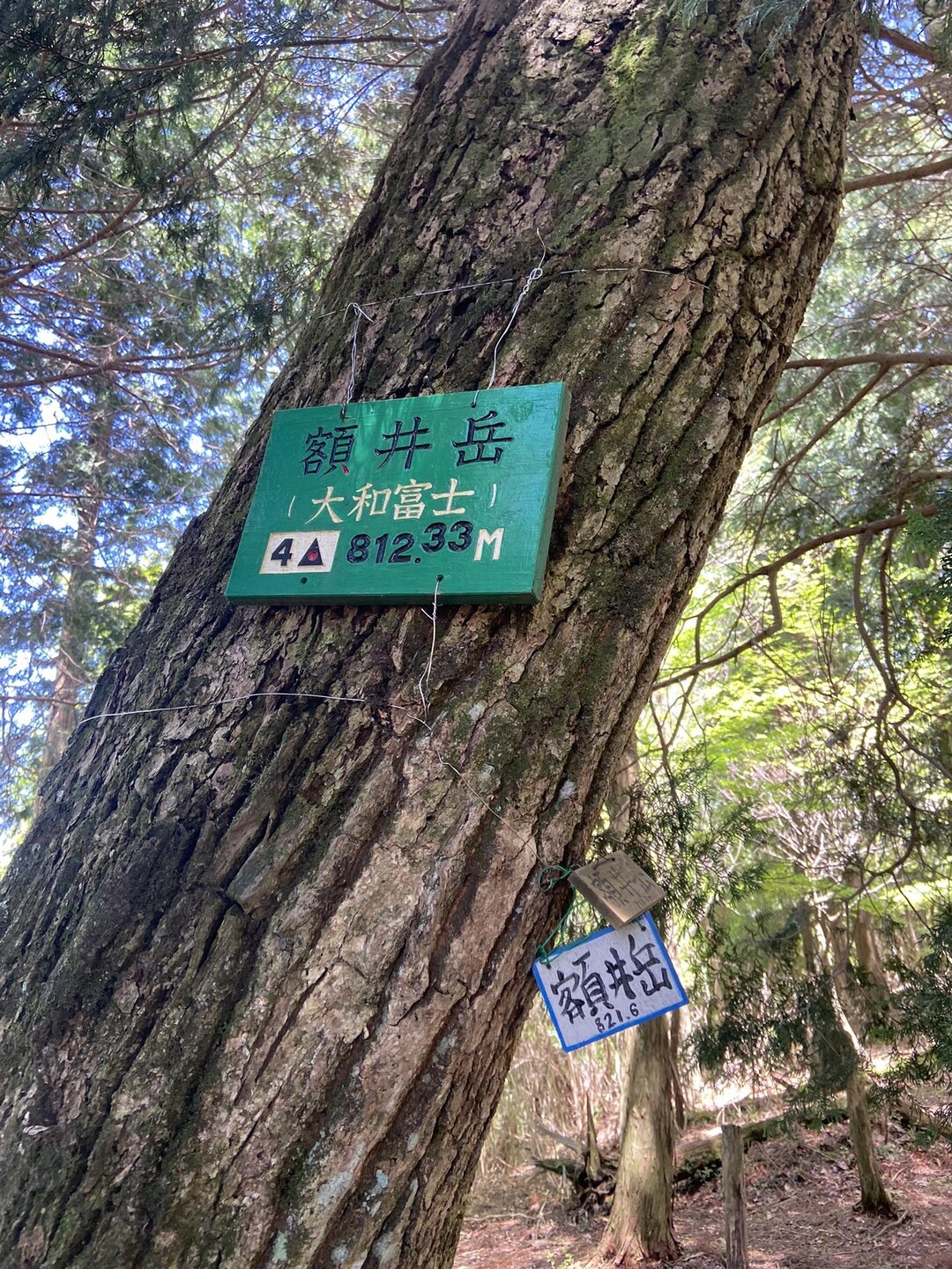 大和富士からのなんちゃって縦走？！で鳥見山へ。額井岳・大保山・香酔山・鳥見山 / MASAEさんの額井岳の活動データ | YAMAP / ヤマップ